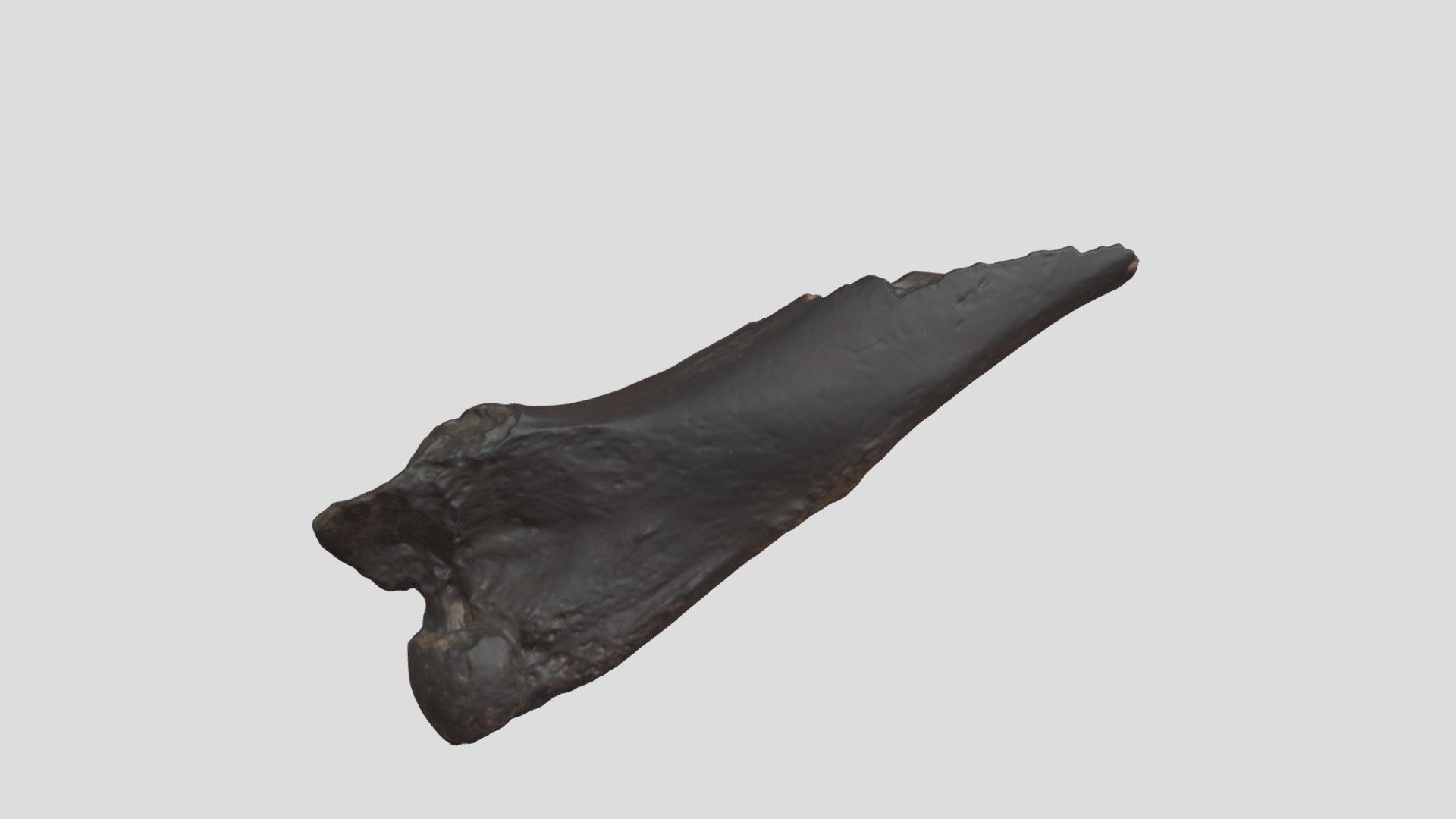 Mastodon Femur, Right (VCU_3D_5004) - Download Free 3D model by Virtual ...