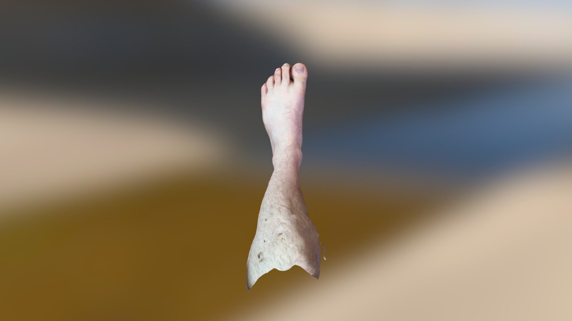 foot - 3D model by Alex Rablau (@rablau) [1fa3d43] - Sketchfab