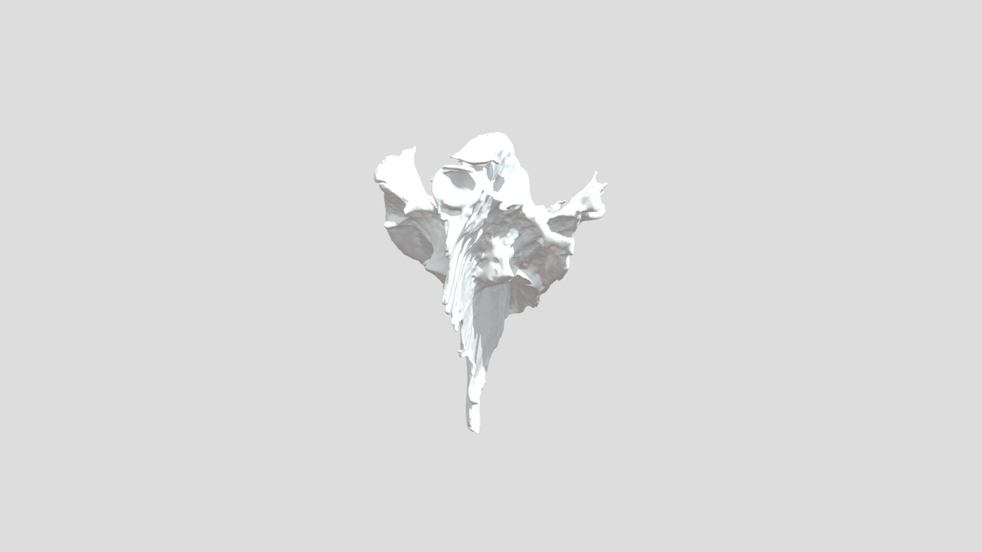 Mizell Velligan Brama Brama Medium Scan - 3D model by ...