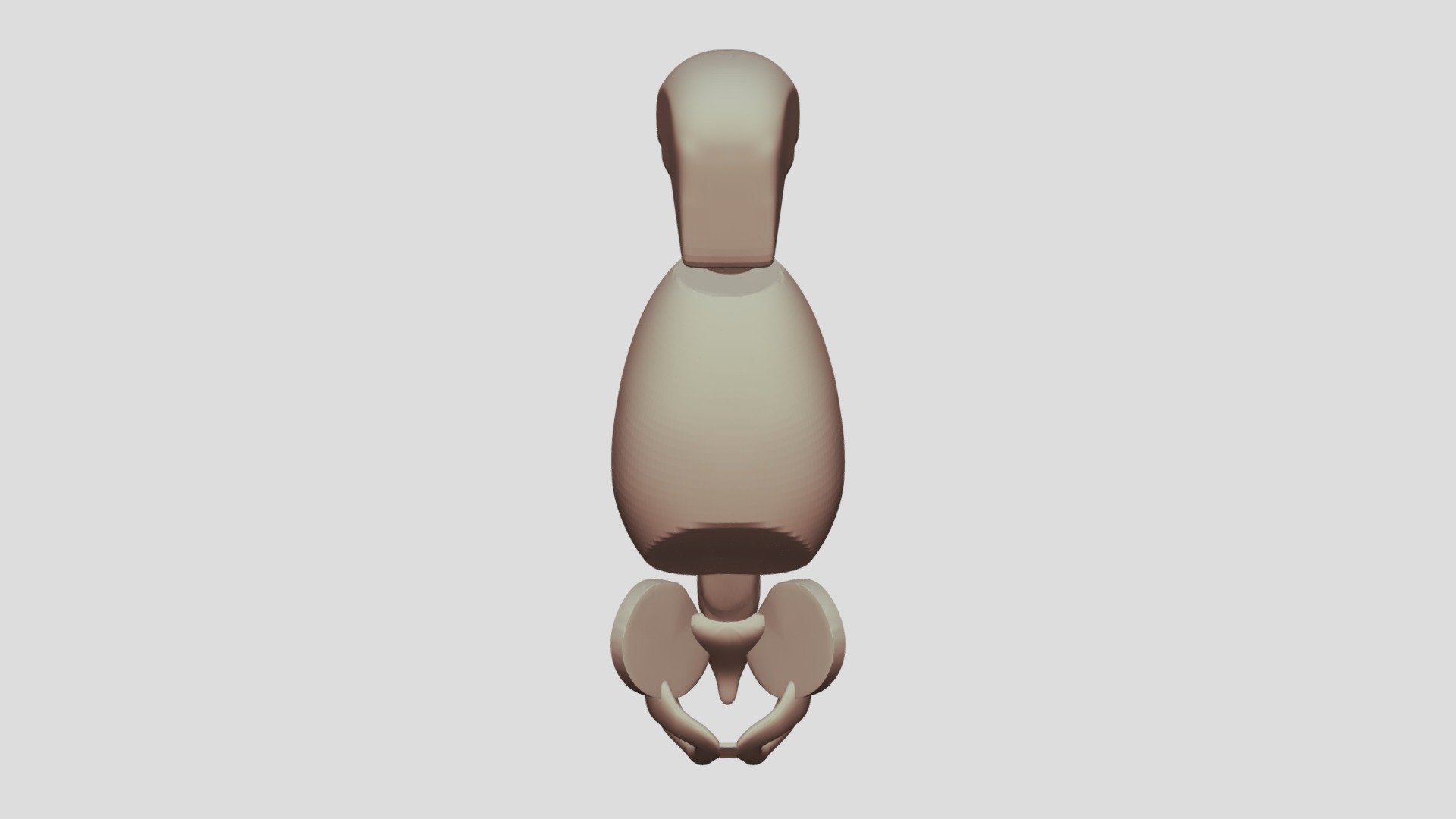 Major Masses Block-In - 3D model by Digital Ecorche Massing Models ...