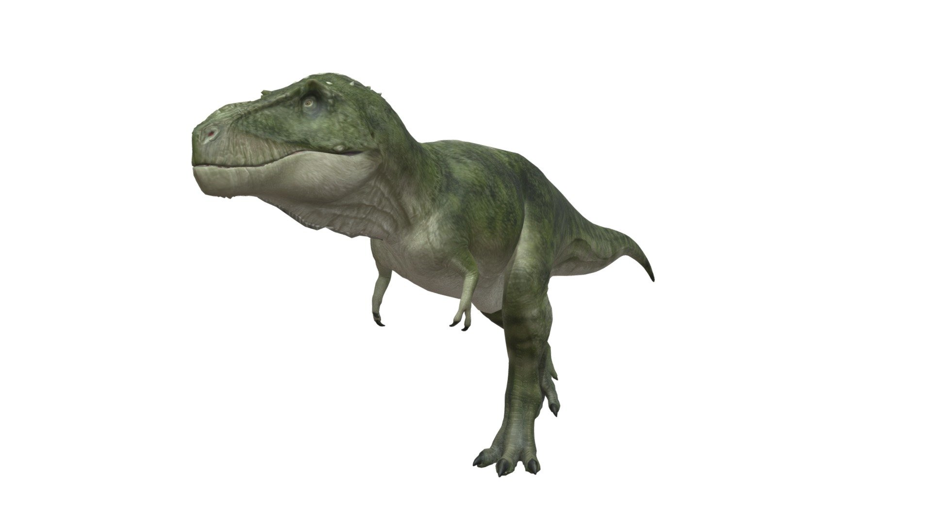 Tyrannosauus Rex The Isle Accurate 2 - Download Free 3D model by ...
