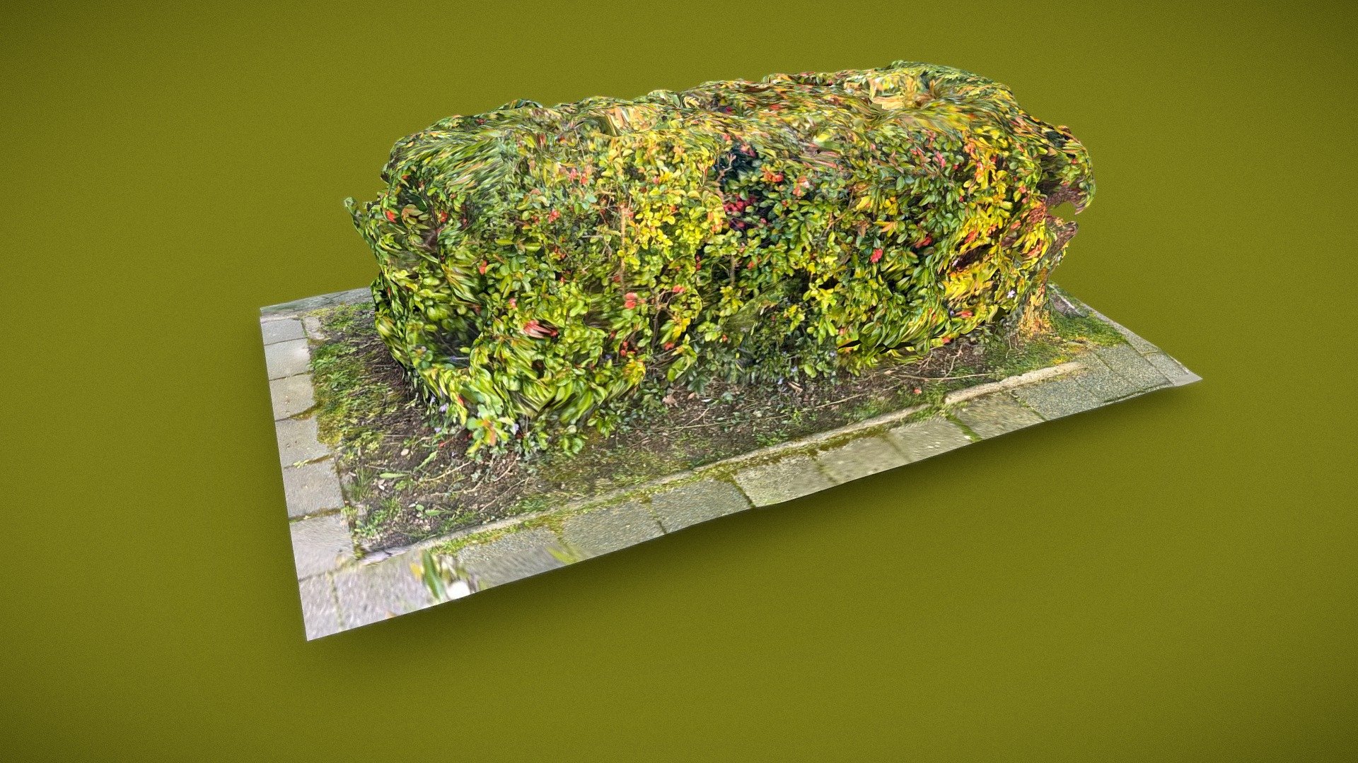 bush - Download Free 3D model by mrfunnysheep [1fb082c] - Sketchfab