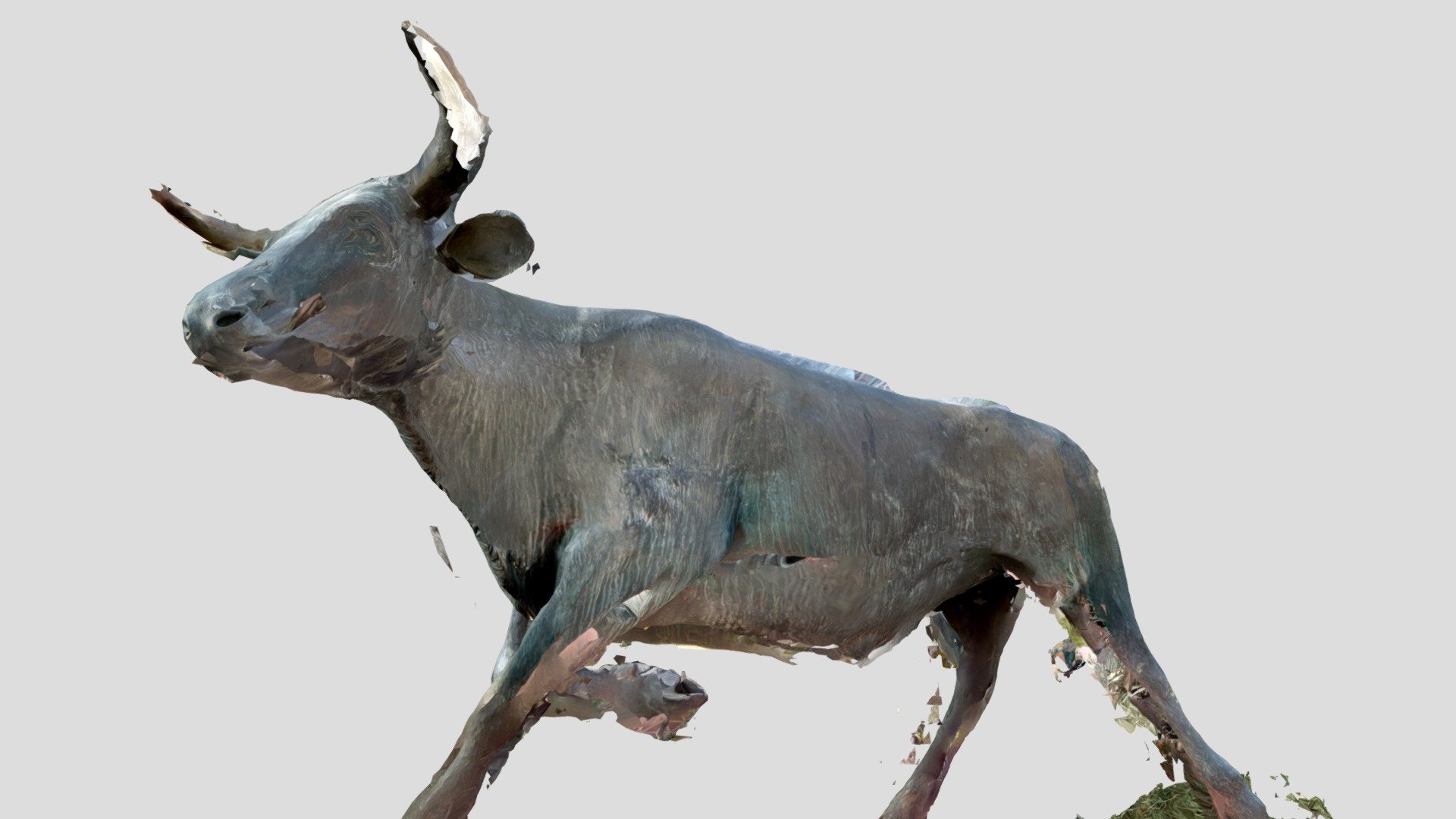 3D CMU Maverick Bull shot on iPad - 3D model by GeoAvatar [1fbd9eb ...