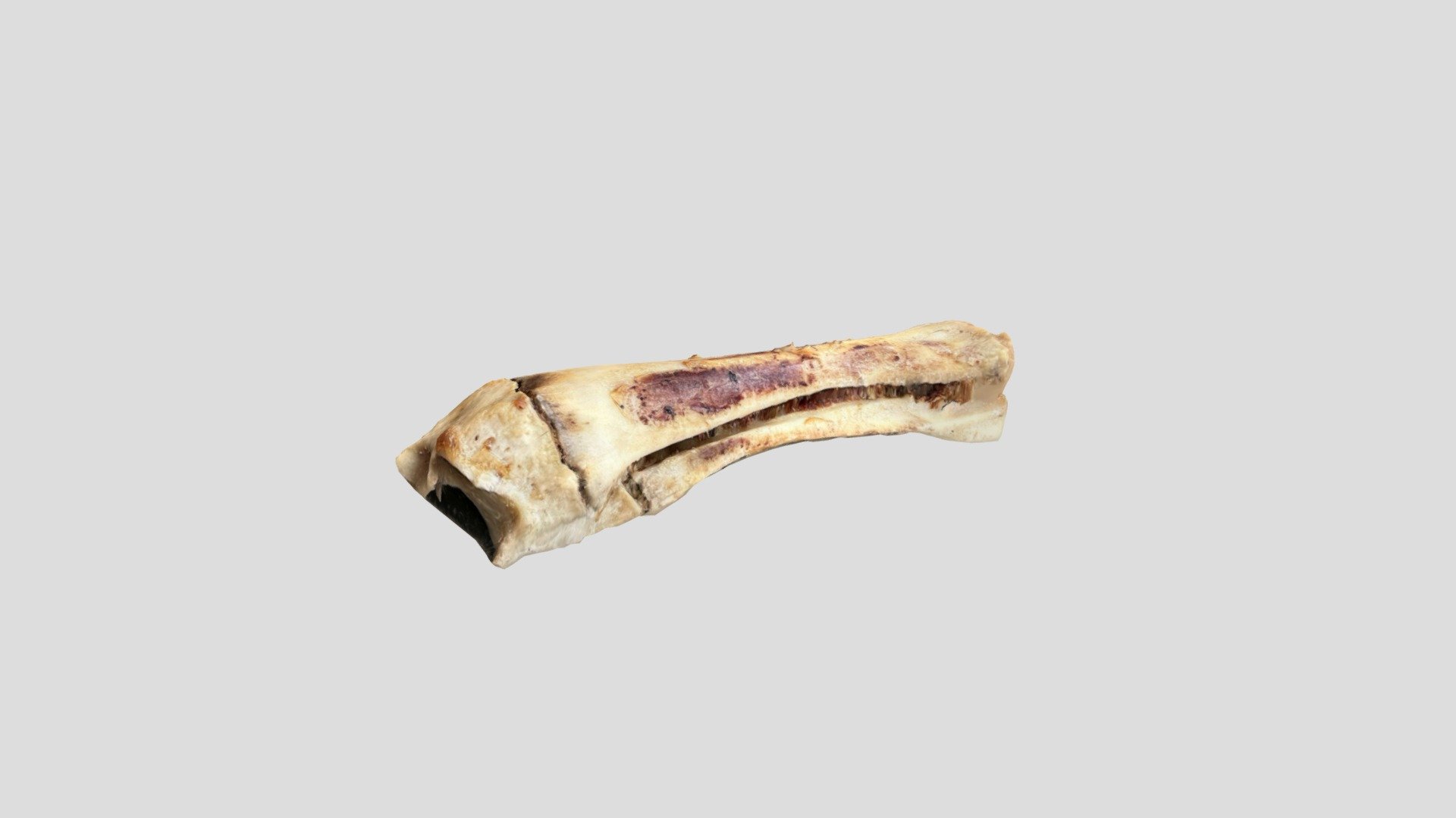 Dog bone - Download Free 3D model by Picturegod [1fc702f] - Sketchfab