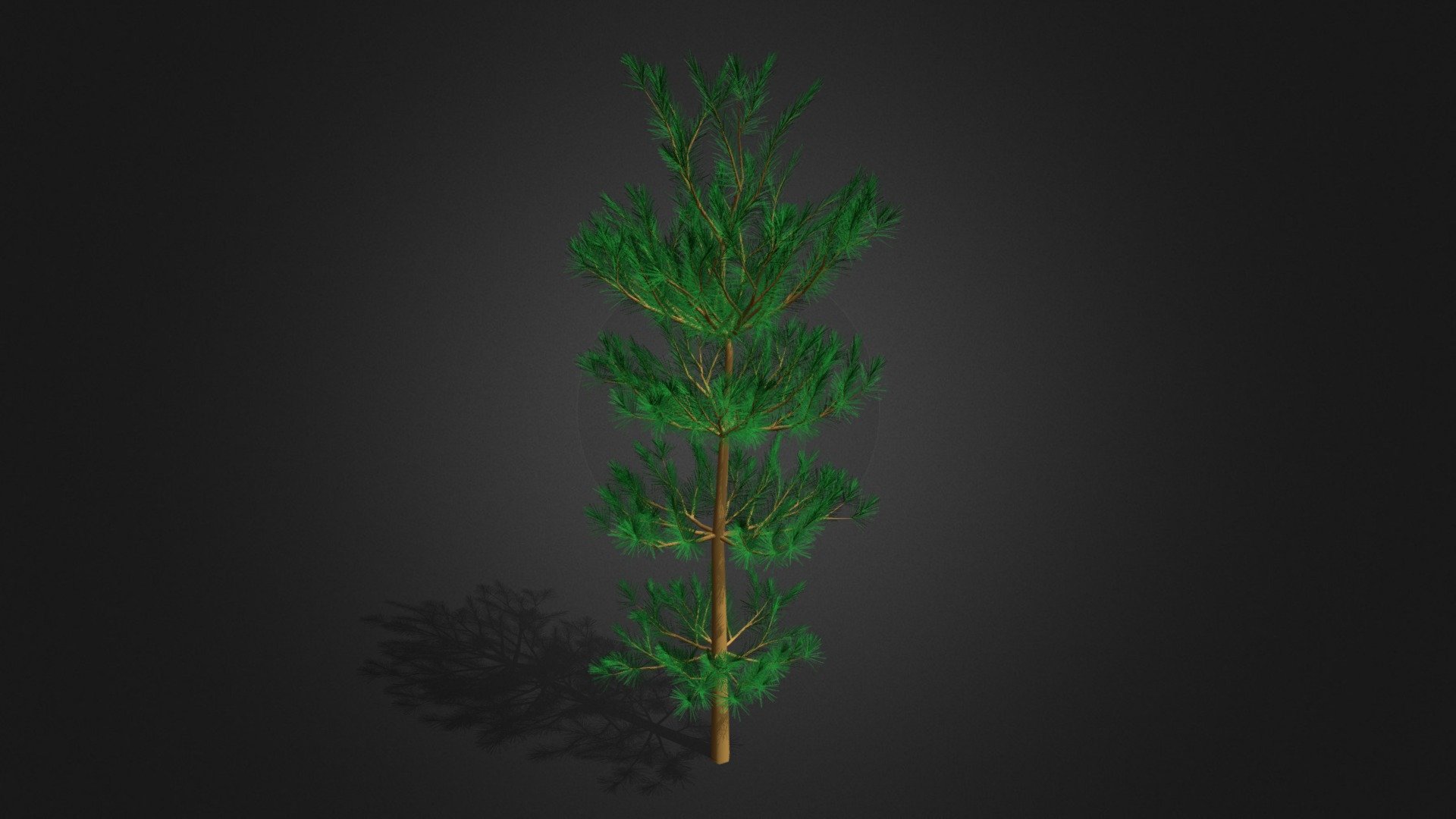 Pine tree - Download Free 3D model by adam127 [1fc7497] - Sketchfab