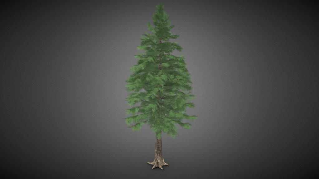 Realistic Pine - dl - A 3D model collection by Kal47 - Sketchfab