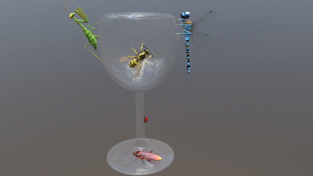 Insects - 3D model by Dolores (@upto21) [1fcb61e] - Sketchfab
