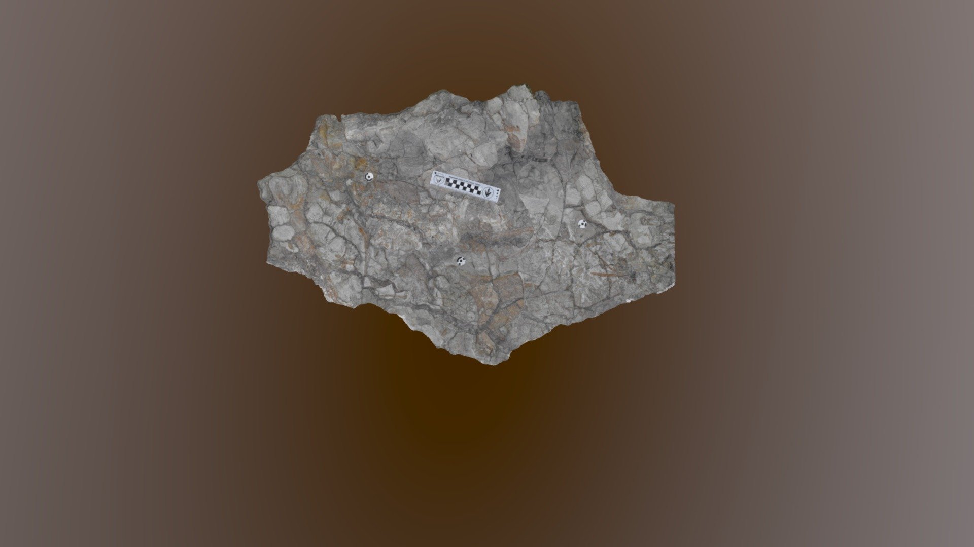 Utahraptor Block 12 19 18 south east side - 3D model by UGS ...