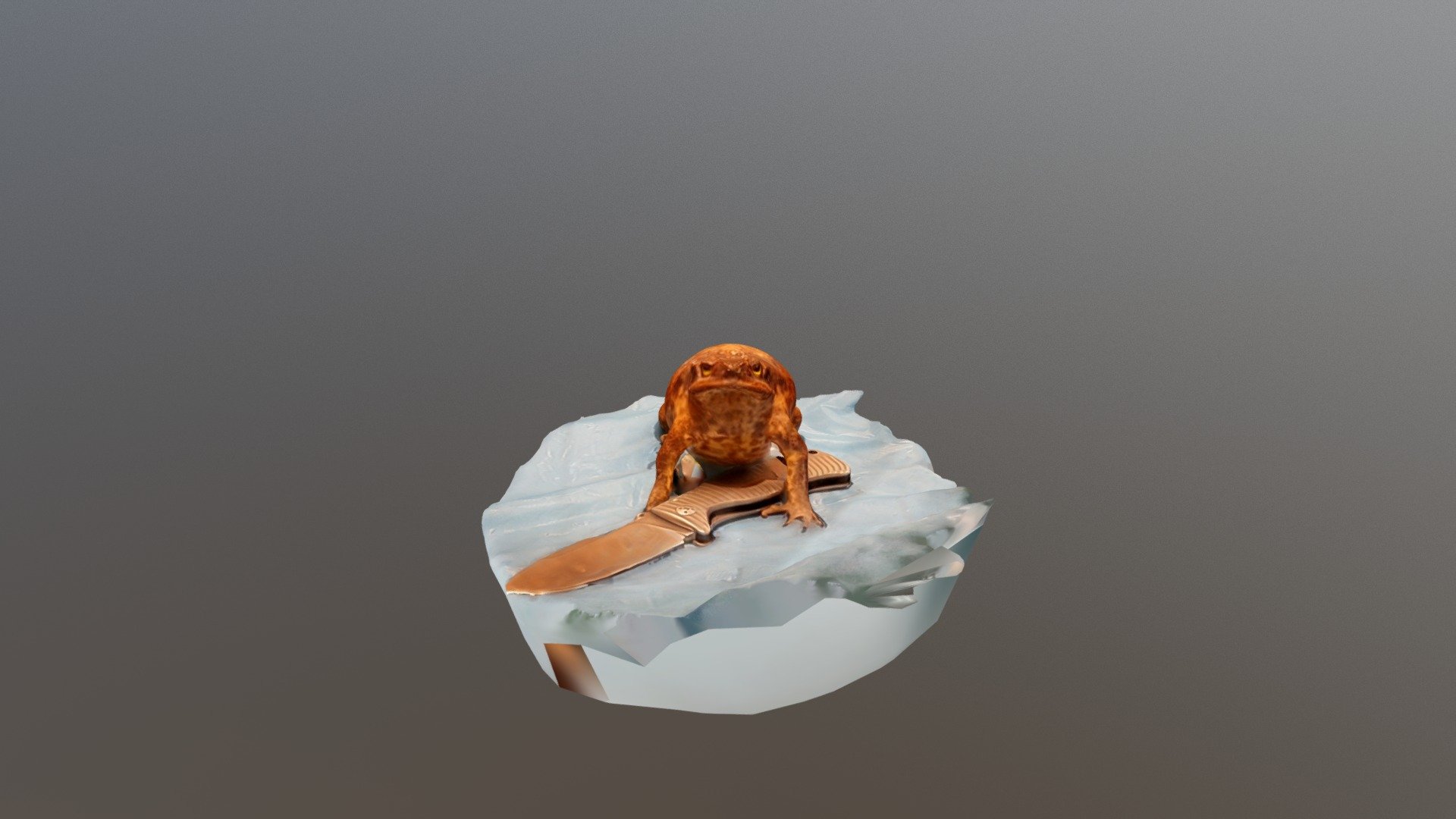 moletta - 3D model by 807 [1fd2ab6] - Sketchfab