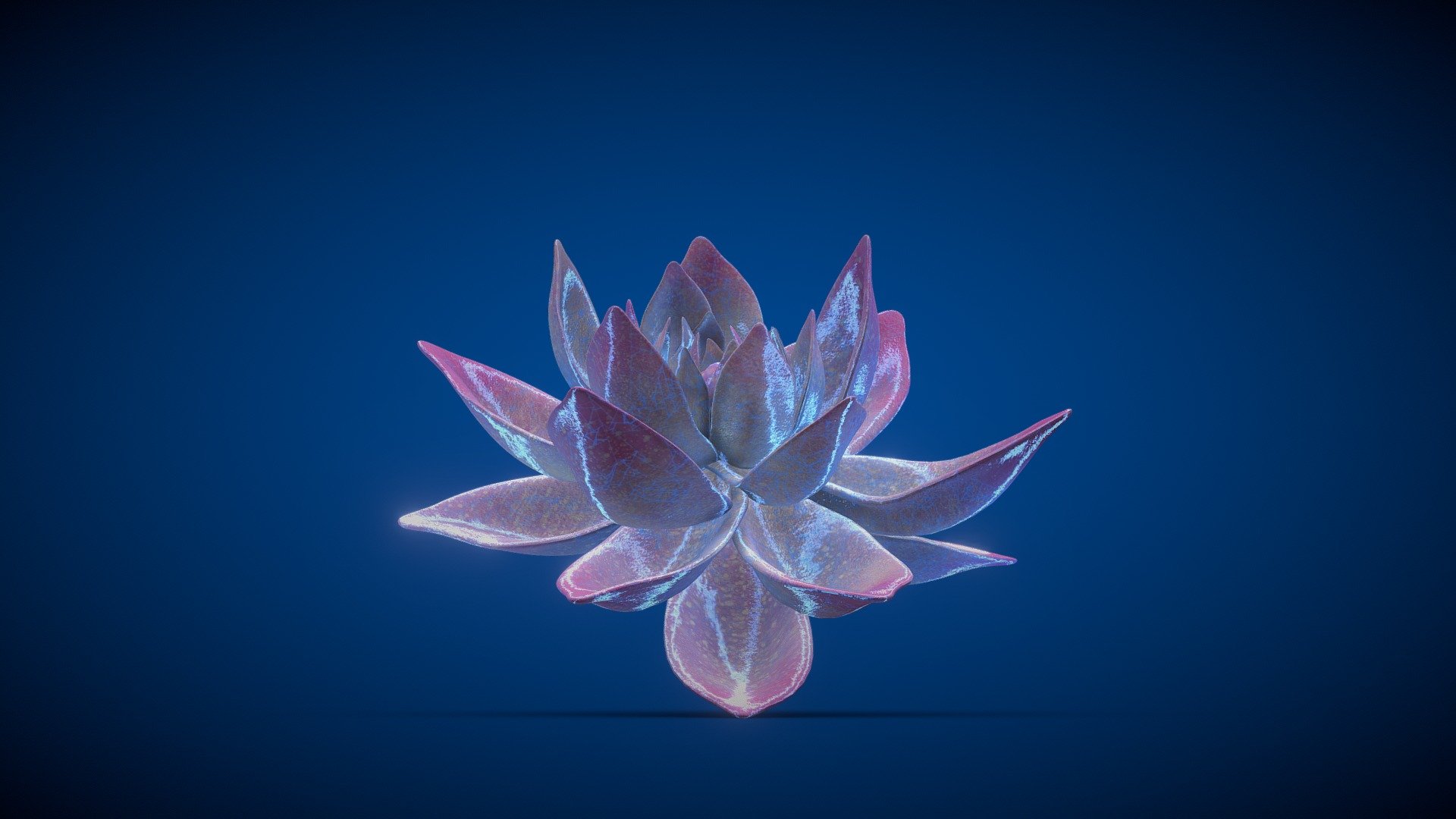 Ninfea in water - 3D model by Francesca Cepparulo_3D (@francesca ...