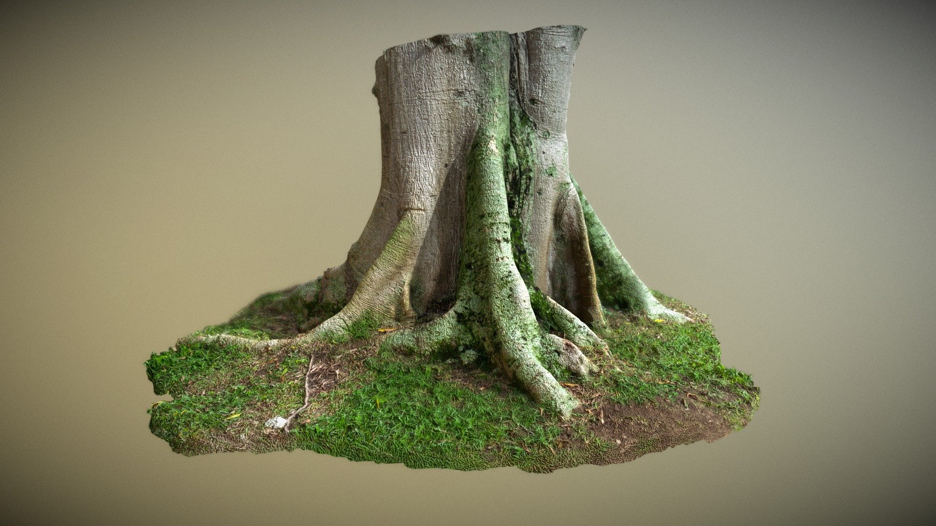 Base_tree - 3D model by SKYDATA (@civicexa01) [1fda5b5] - Sketchfab