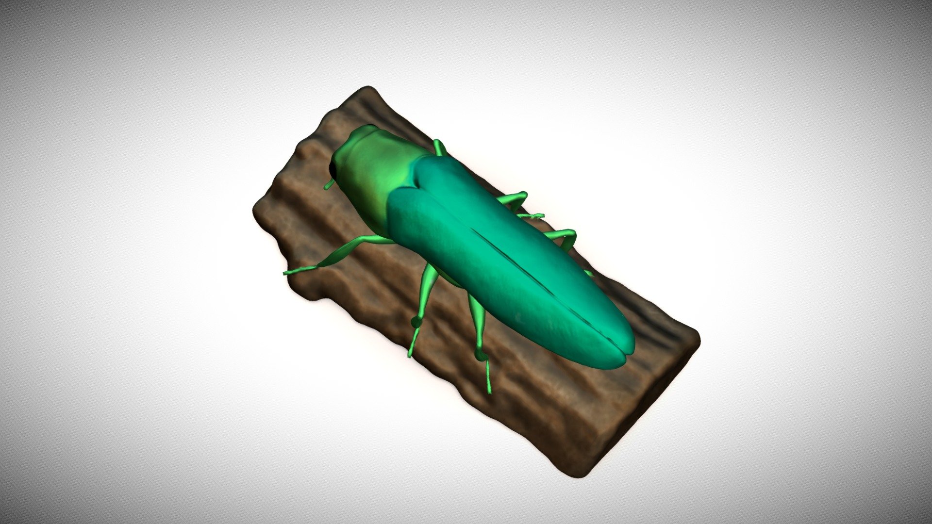 Green Emerald Ash Borer - Download Free 3D model by CIverson ...