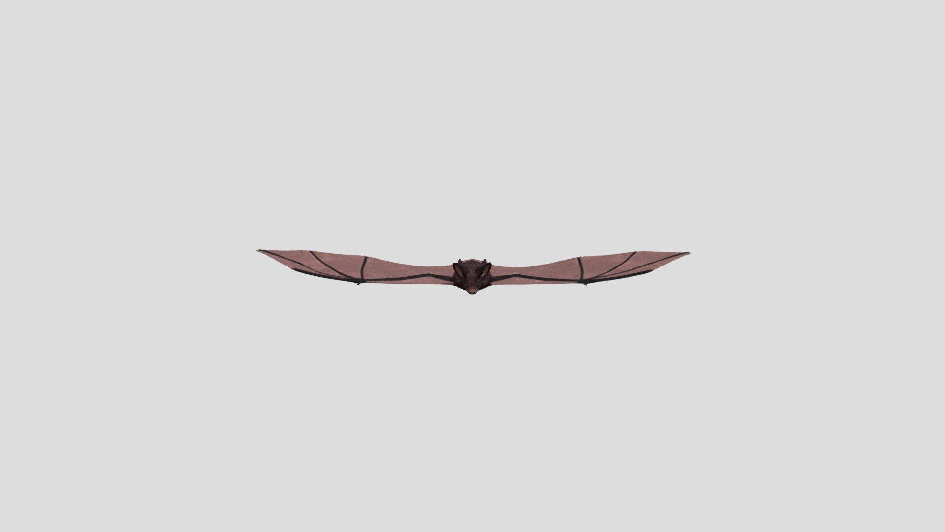 Bat Animacion V04 - Download Free 3D model by Edwin3dArtist ...