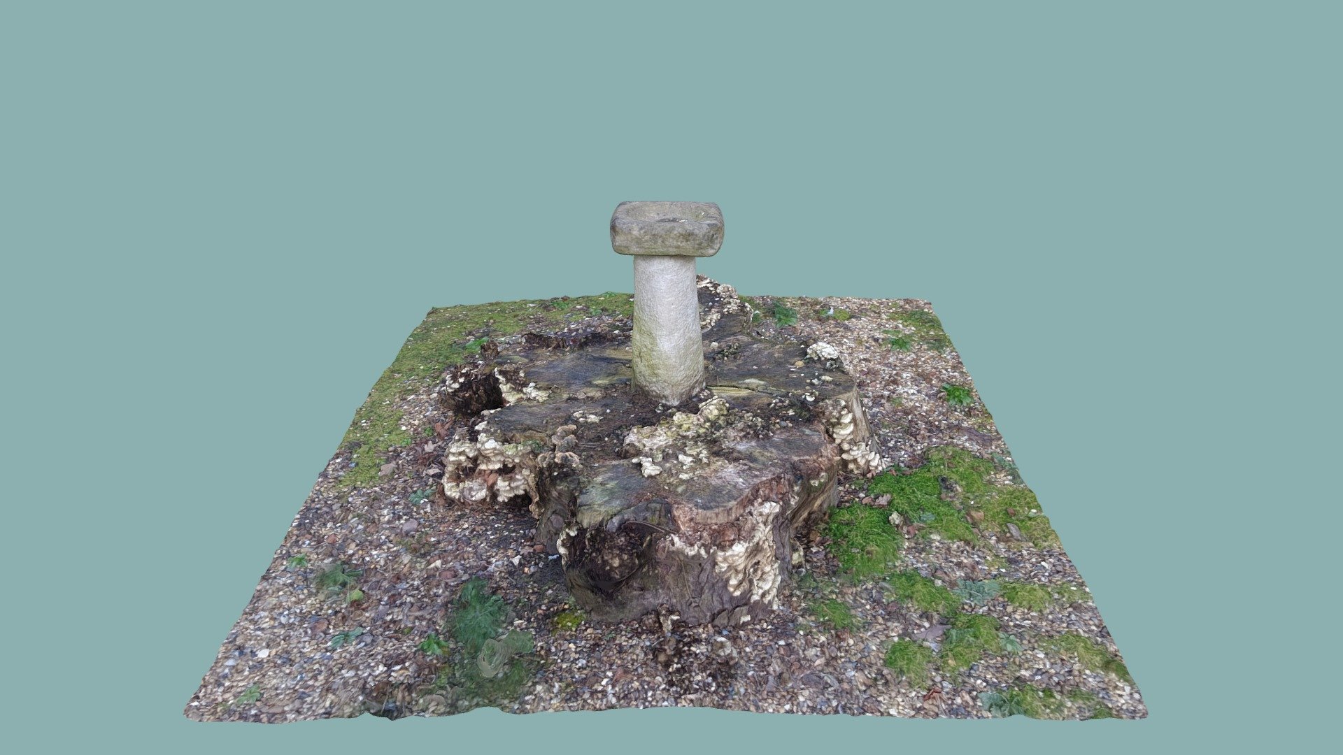 Bird bath on tree stump - Download Free 3D model by CT Aerial Surveys ...