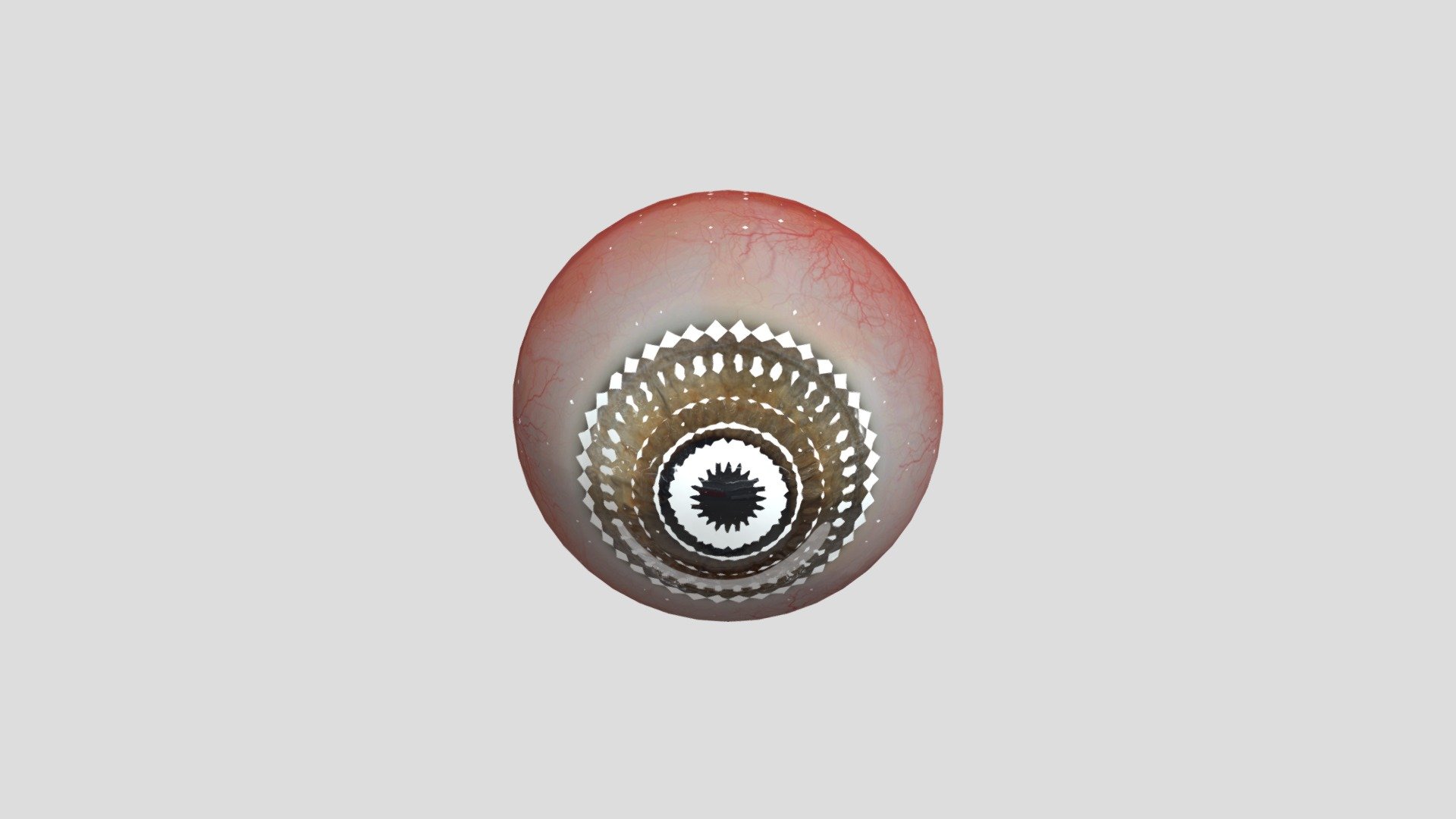 Eye - Download Free 3D model by D3mtt [1fe830b] - Sketchfab