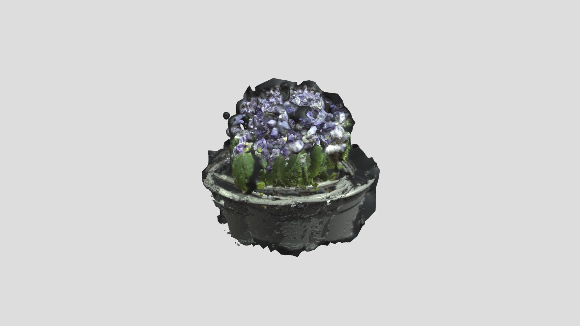 Final Blue Hyacinth - 3D model by plantss [1fef5ec] - Sketchfab