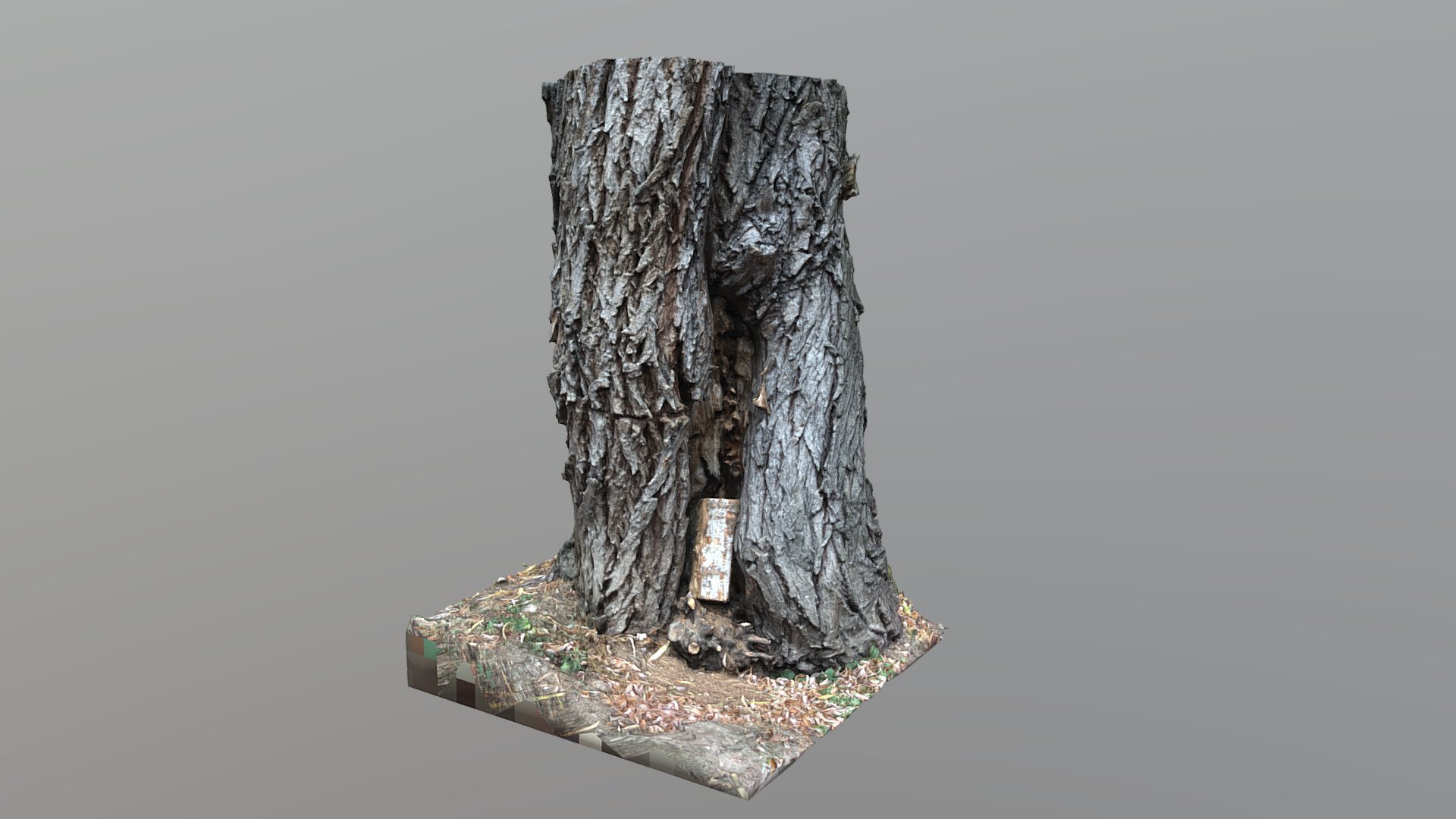 Tree Trunk - photogrammetry - Download Free 3D model by Nicolas Diolez ...