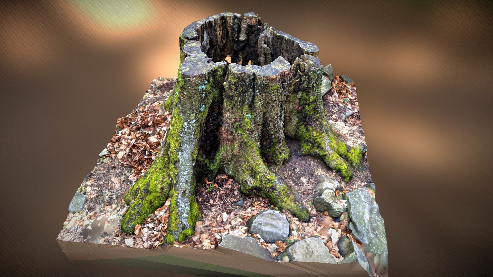 Wooden Stump - Download Free 3D model by hibari_solutions [1ff5d1c ...