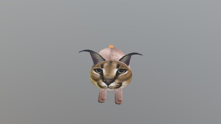 Floppa 3D models - Sketchfab