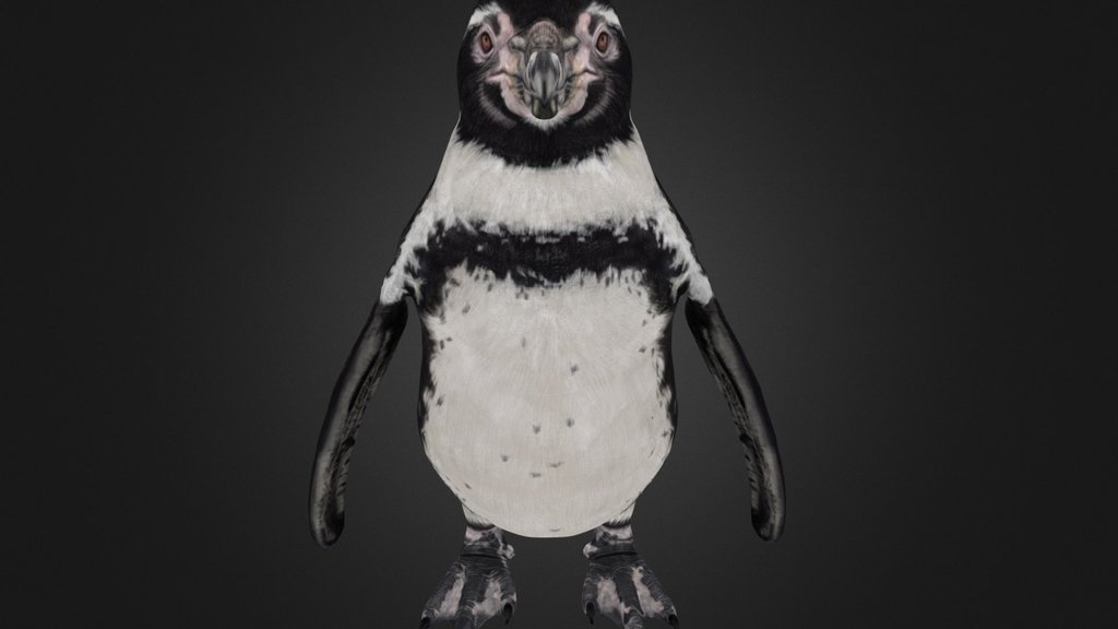 penguins - A 3D model collection by katswo - Sketchfab