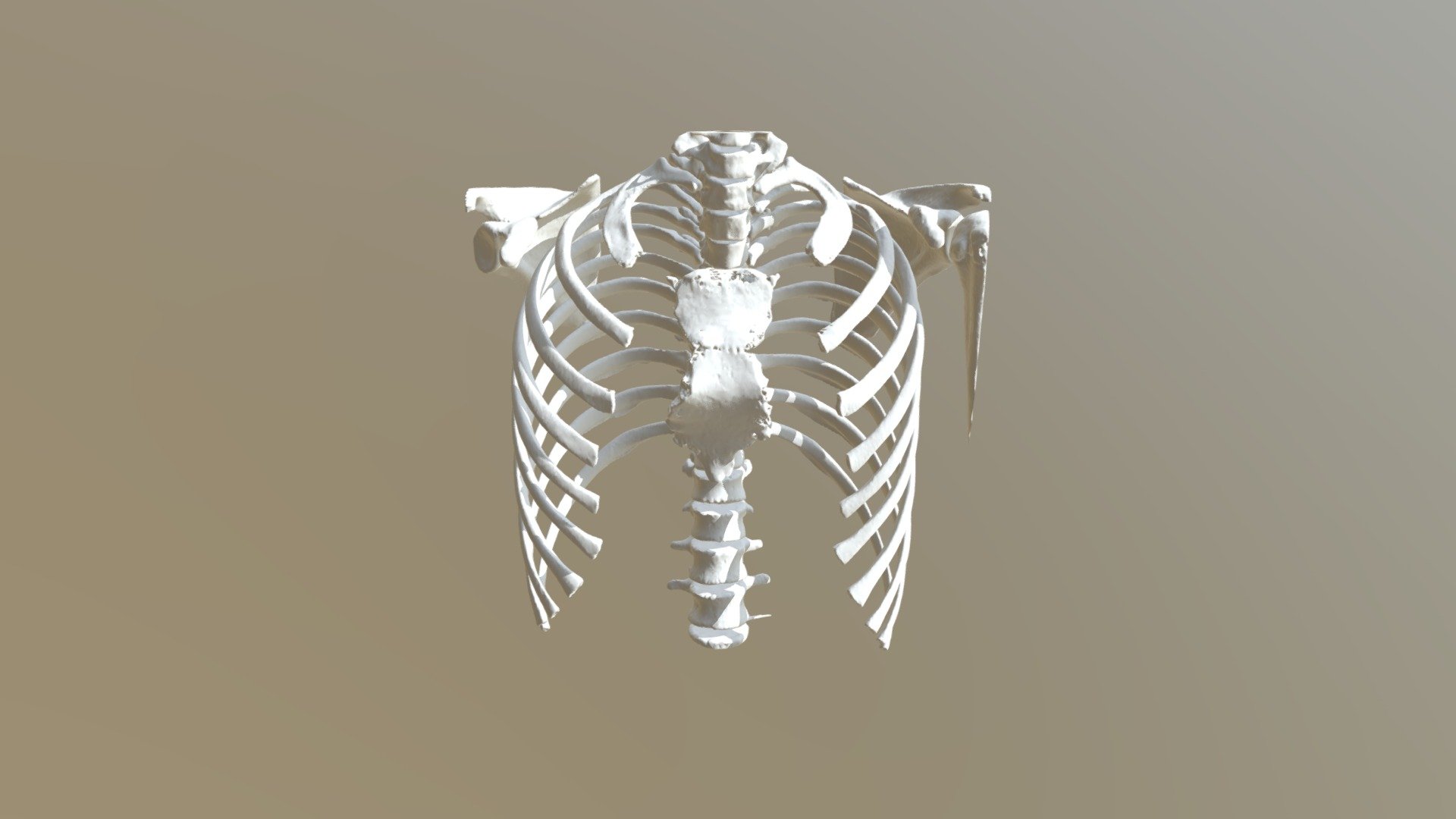 SL - 3D model by T3DDY [200e325] - Sketchfab