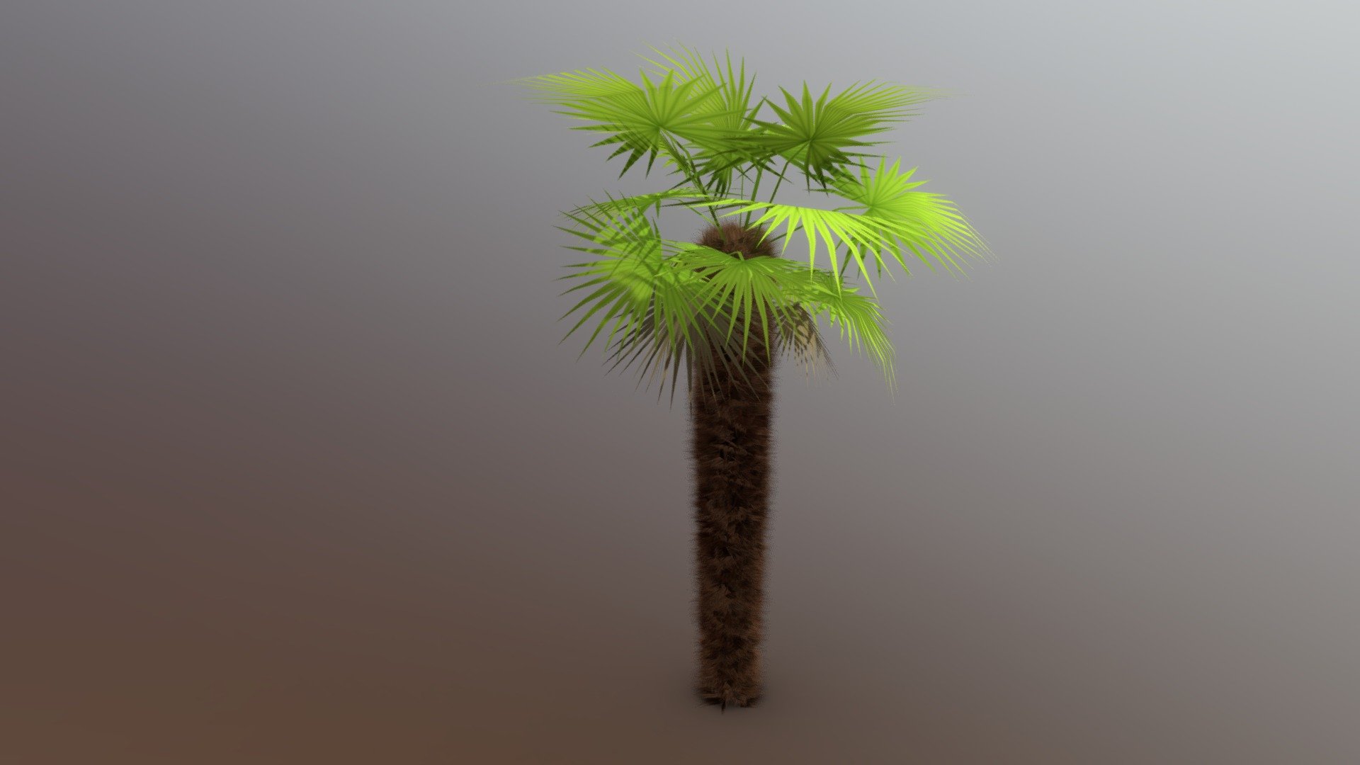 Palm Tree - Download Free 3D model by nikola (@nugarkovic) [200fbb4 ...