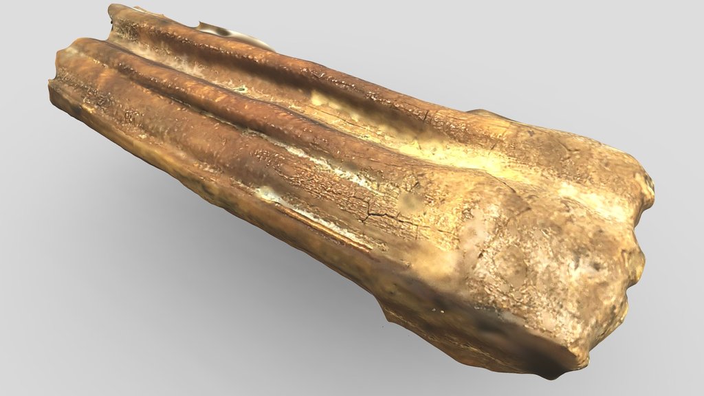 TCM - A 3D model collection by Ciconia (@ciconia123) - Sketchfab