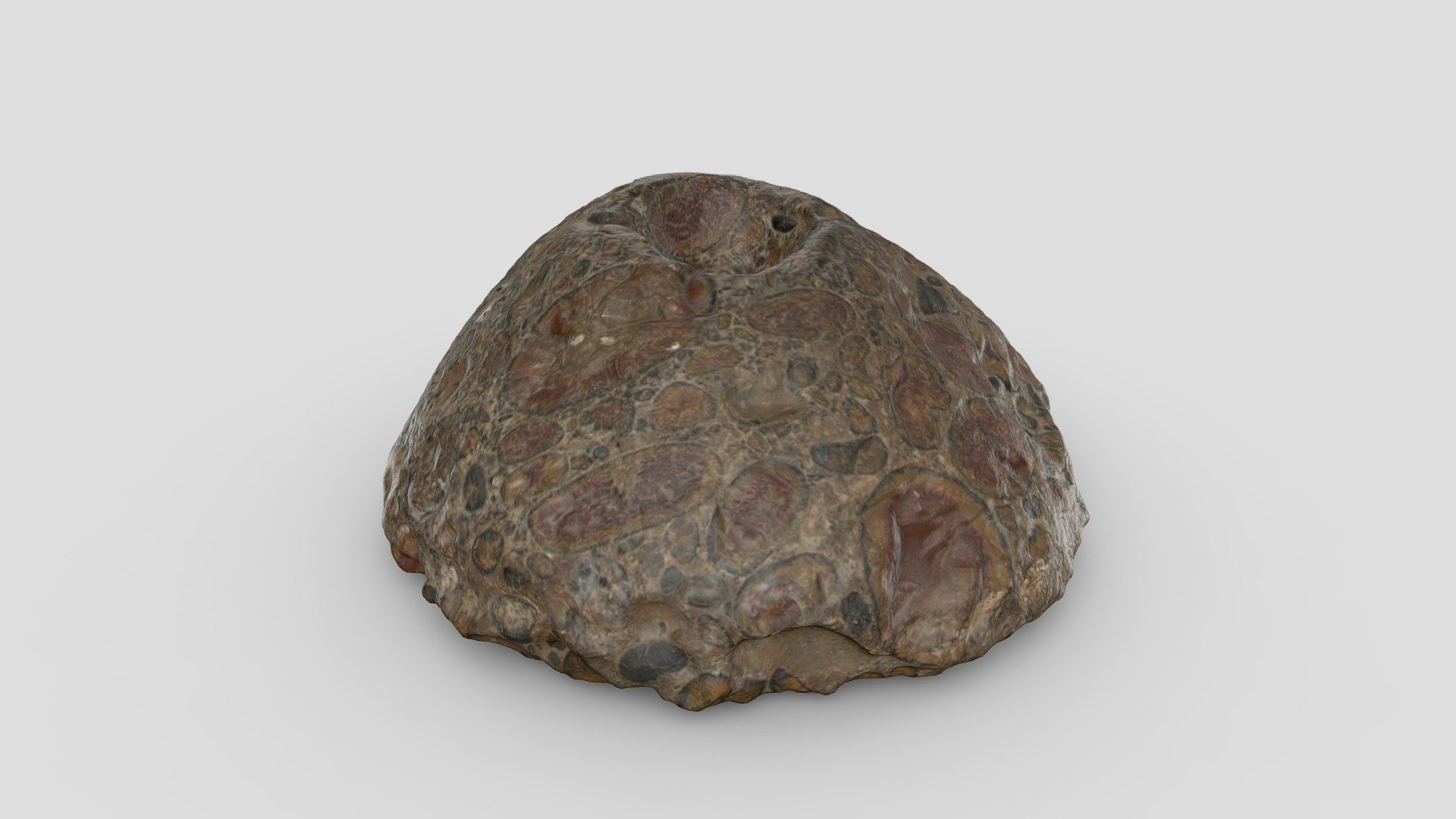 Roman puddingstone quern (SOTLS : A1963.602) - 3D model by Southampton ...