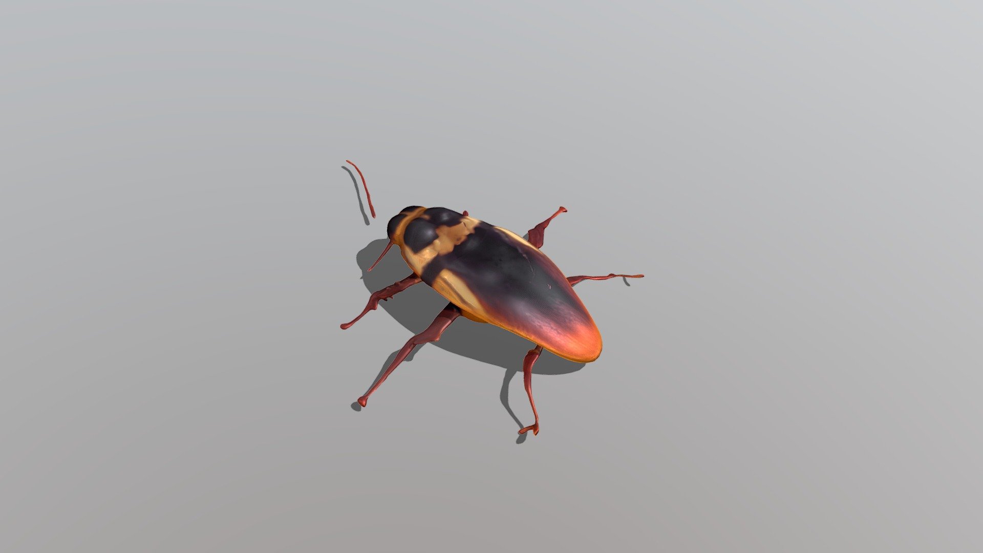 Cockroach - Download Free 3D model by Daniele Lo Monaco ...