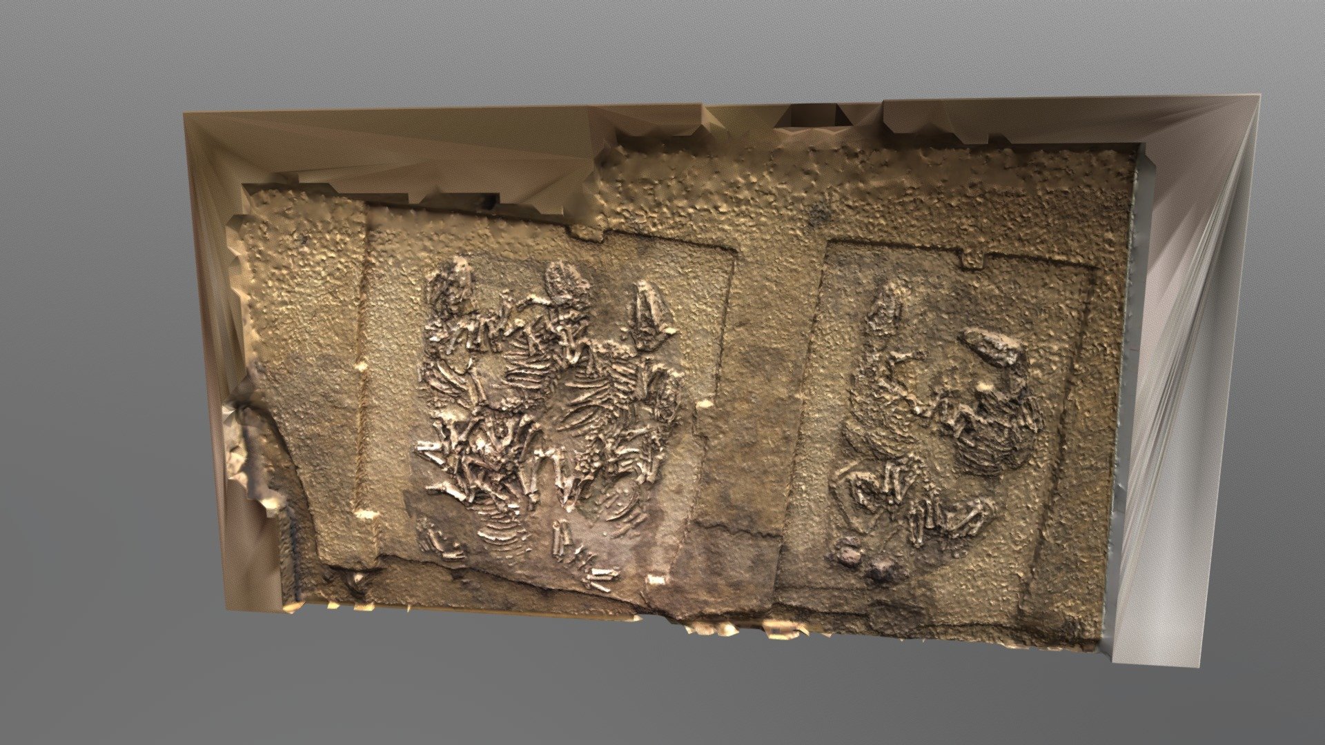 Museum of Prehistory, Germany, Display (2011) - 3D model by ...
