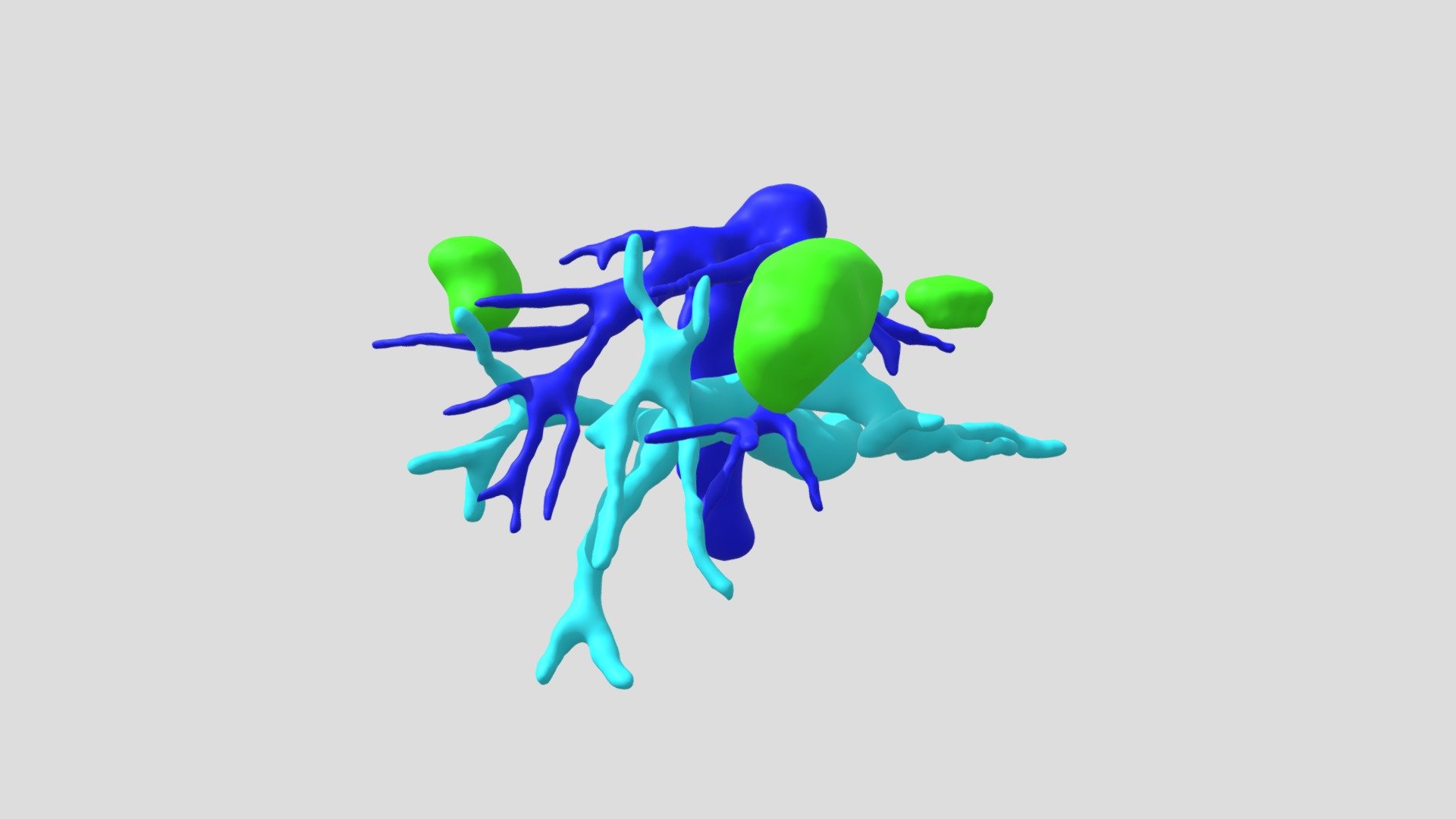 color - 3D model by SurgiPrint [202ead7] - Sketchfab