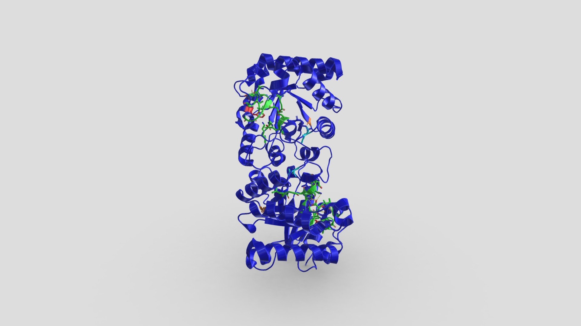 Human TPI - Capable of good and bad - 3D model by woodstev [203029d ...