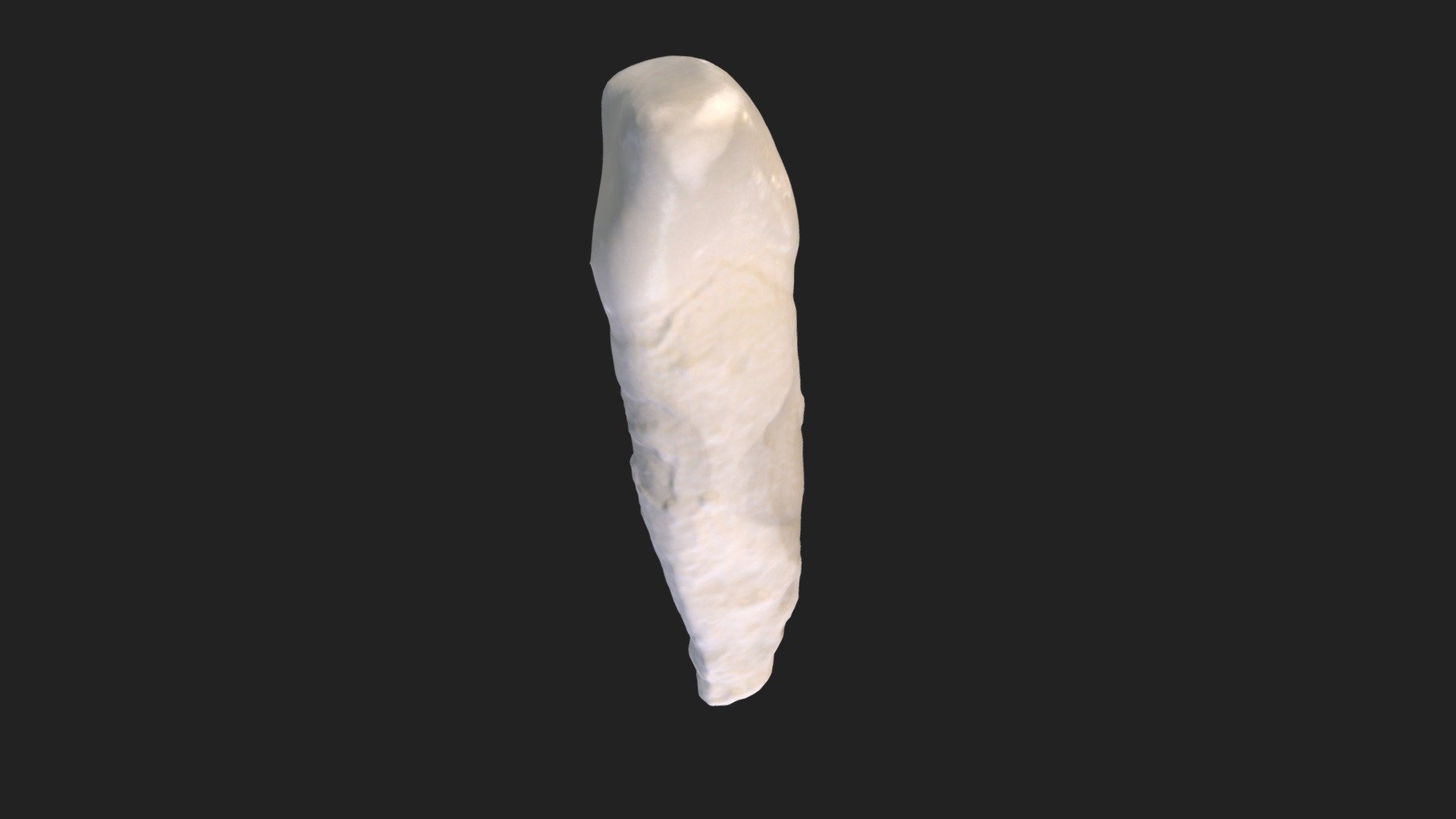 1st incisor (incisivus, I1) dog (lower jaw) - Download Free 3D model by ...