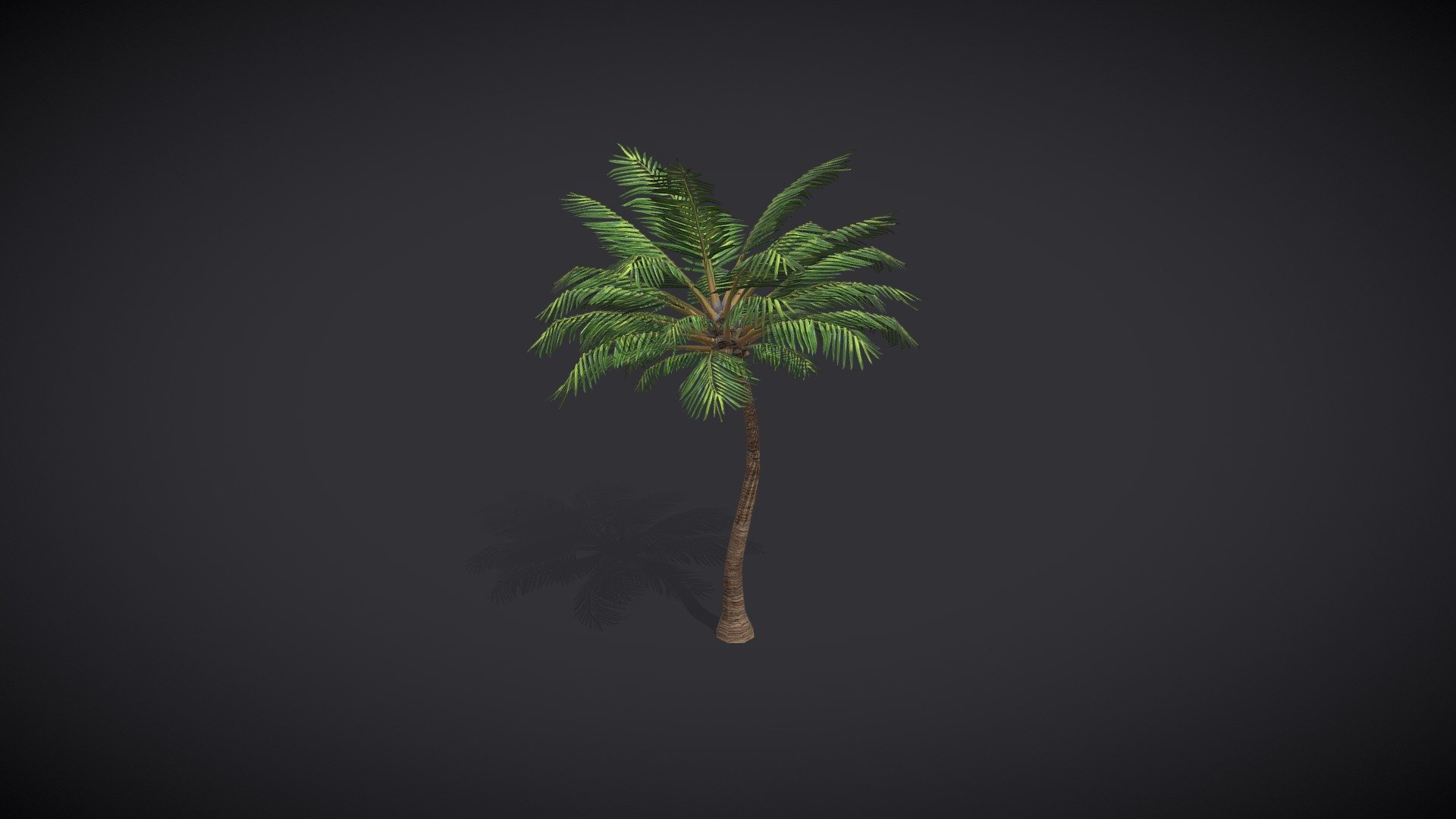 Palm Tree - Buy Royalty Free 3D model by StellarX [20347b1] - Sketchfab ...