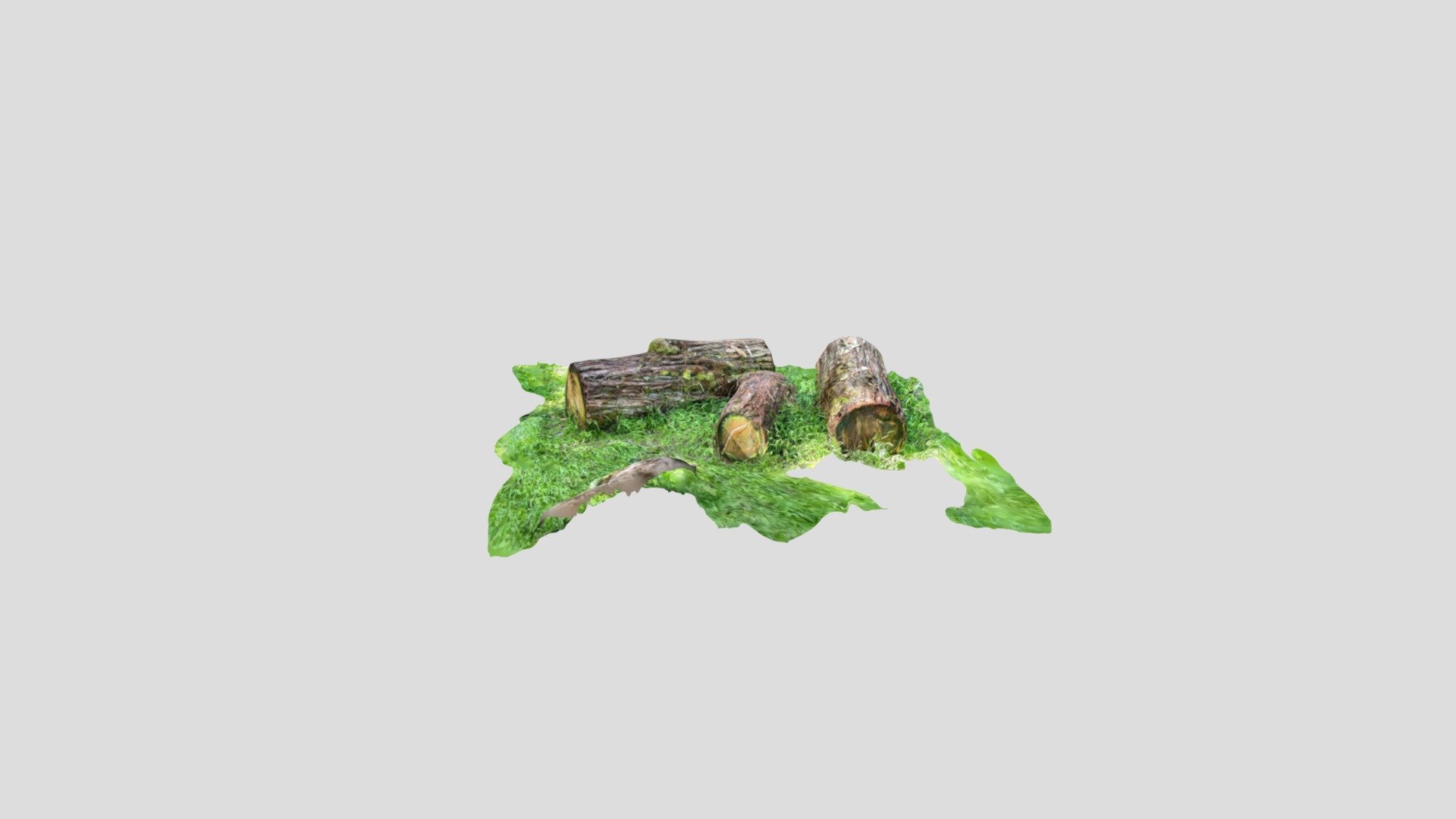 Tree logs al@ Ke’Anae Arboretum - Download Free 3D model by Jake ...
