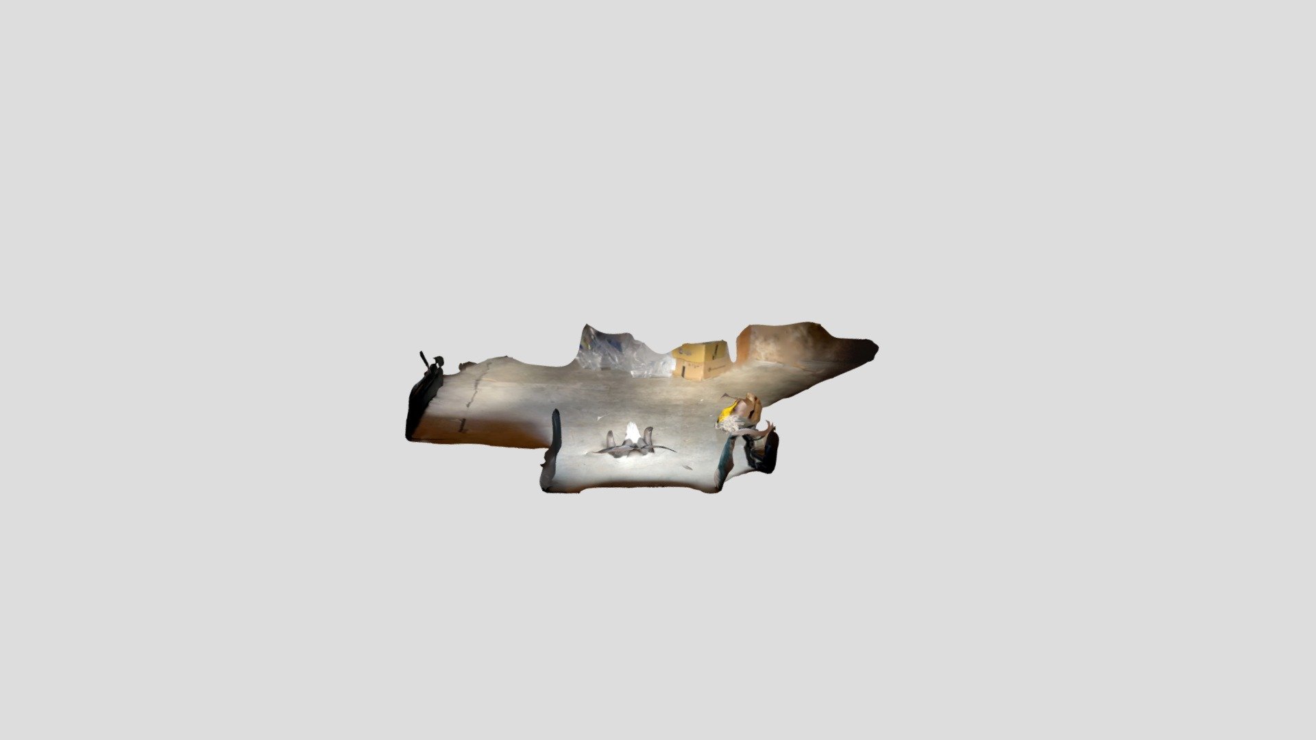 Sheep Dead Head - Download Free 3D model by kevinneville29 [203ada4 ...