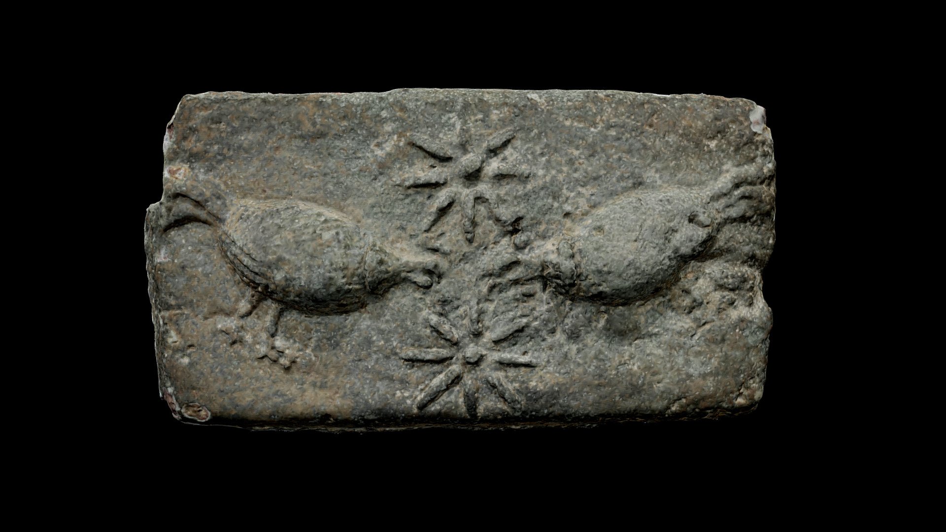 AES SIGNATUM: POLLOS - ROSTRA - 3D model by Museo Casa de la Moneda ...
