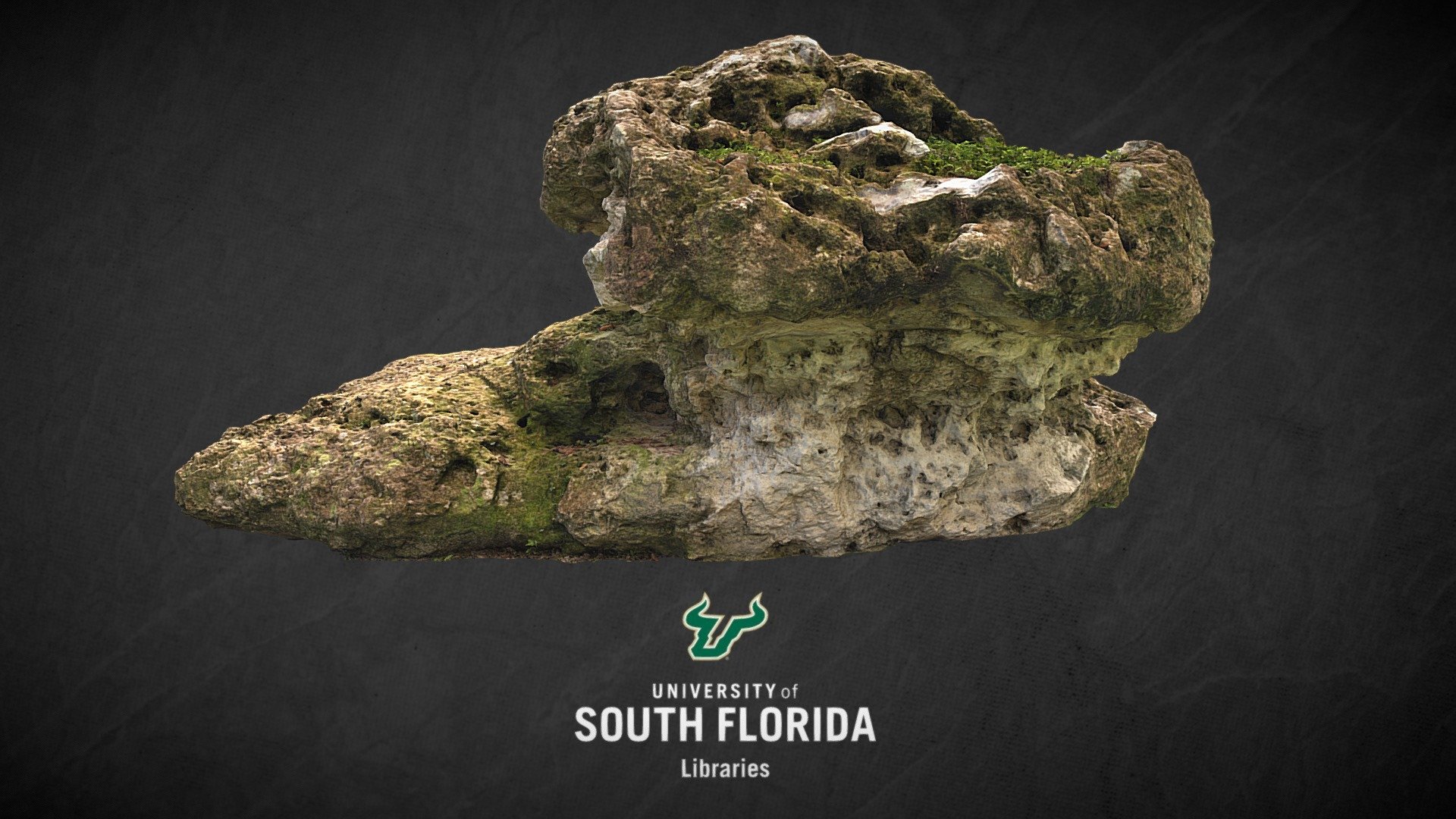 Multi-ton Limestone Rock - Download Free 3D model by University of ...