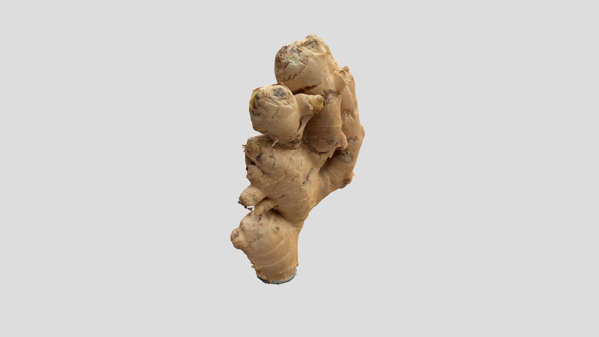 Ginger - Download Free 3D model by saulatepicgames [20562aa] - Sketchfab