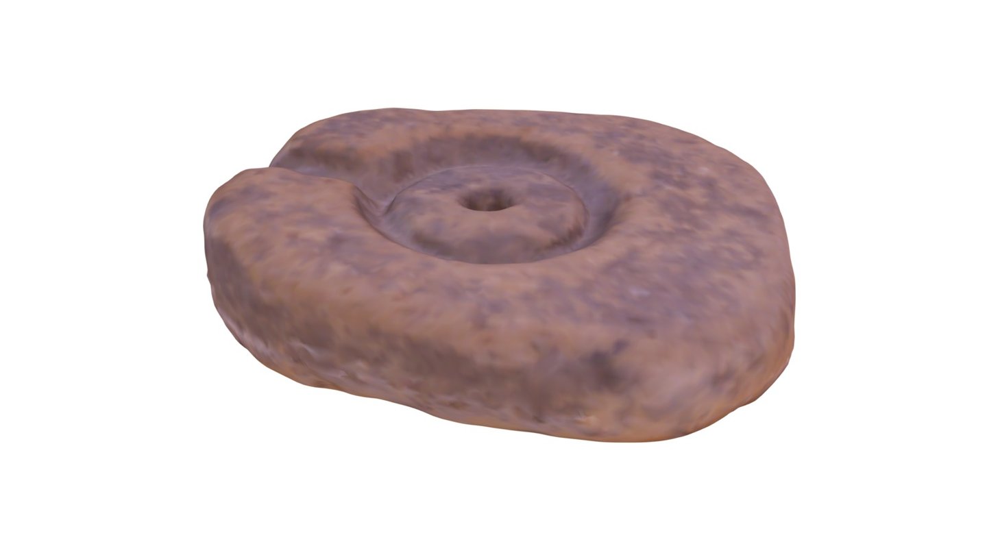 315 - 3D model by Proiect DACIT (@muzeucdr_deva) [20579b7] - Sketchfab