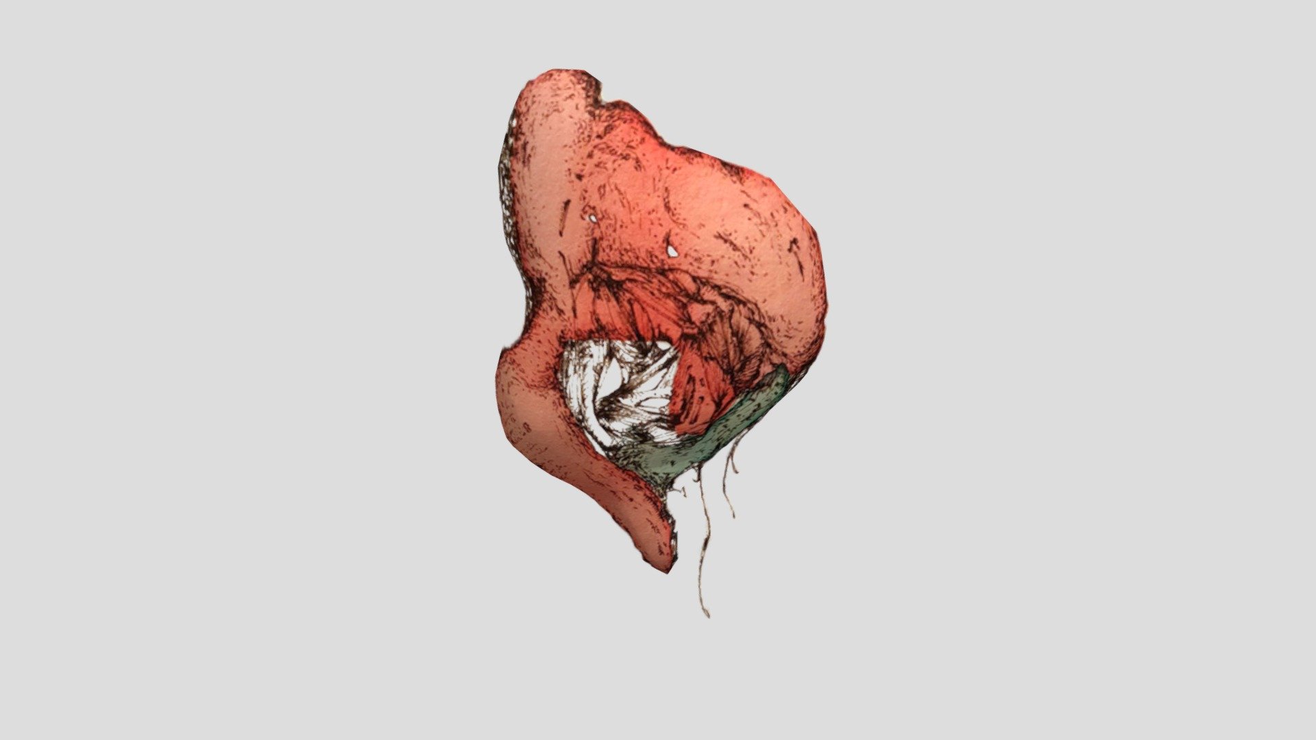 motive_heart_d - 3D model by ghirig [205ab4e] - Sketchfab