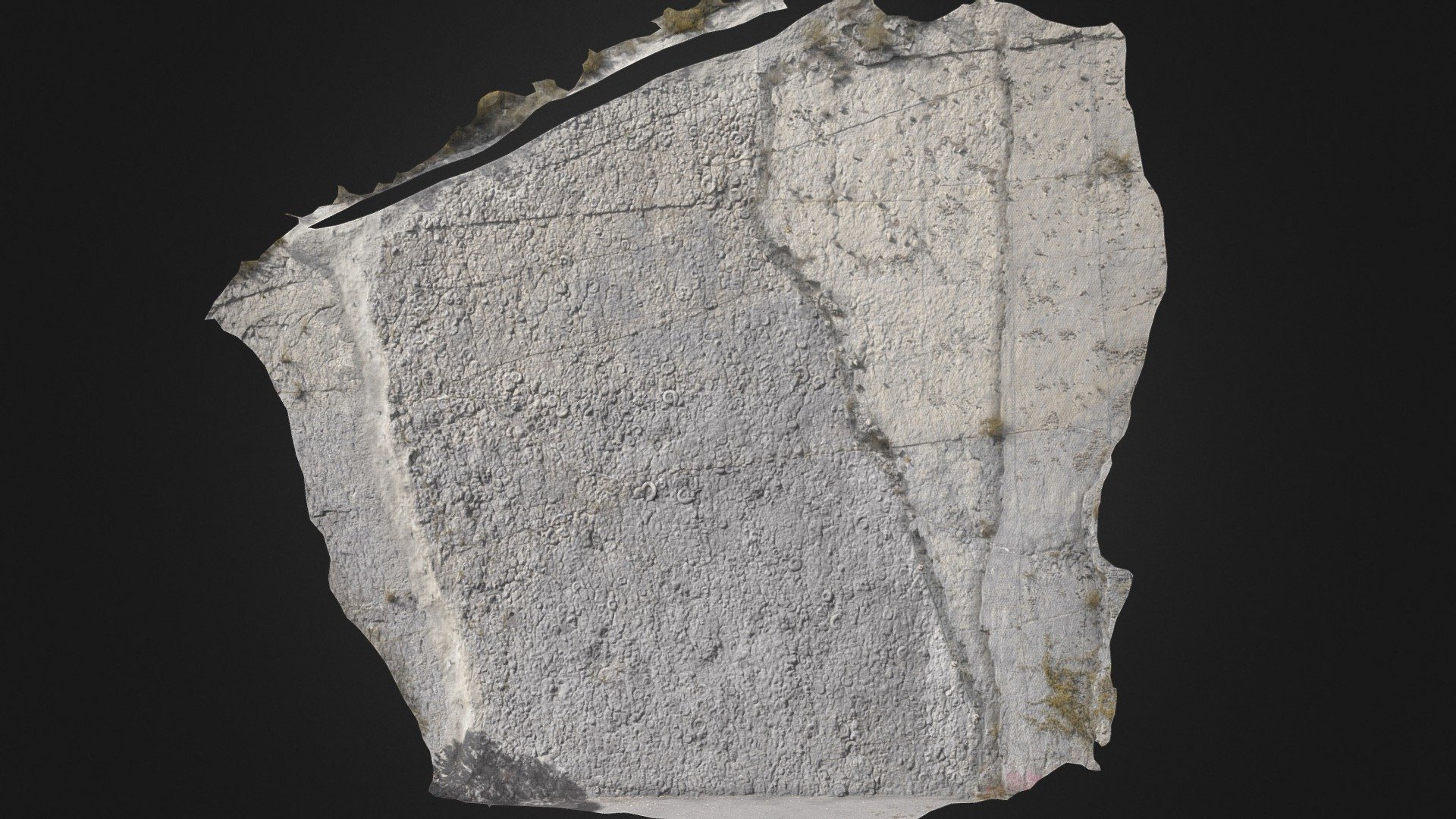Dalle Aux Ammonites - 3D model by GEOPS U-Paris-Saclay (@gouravour ...