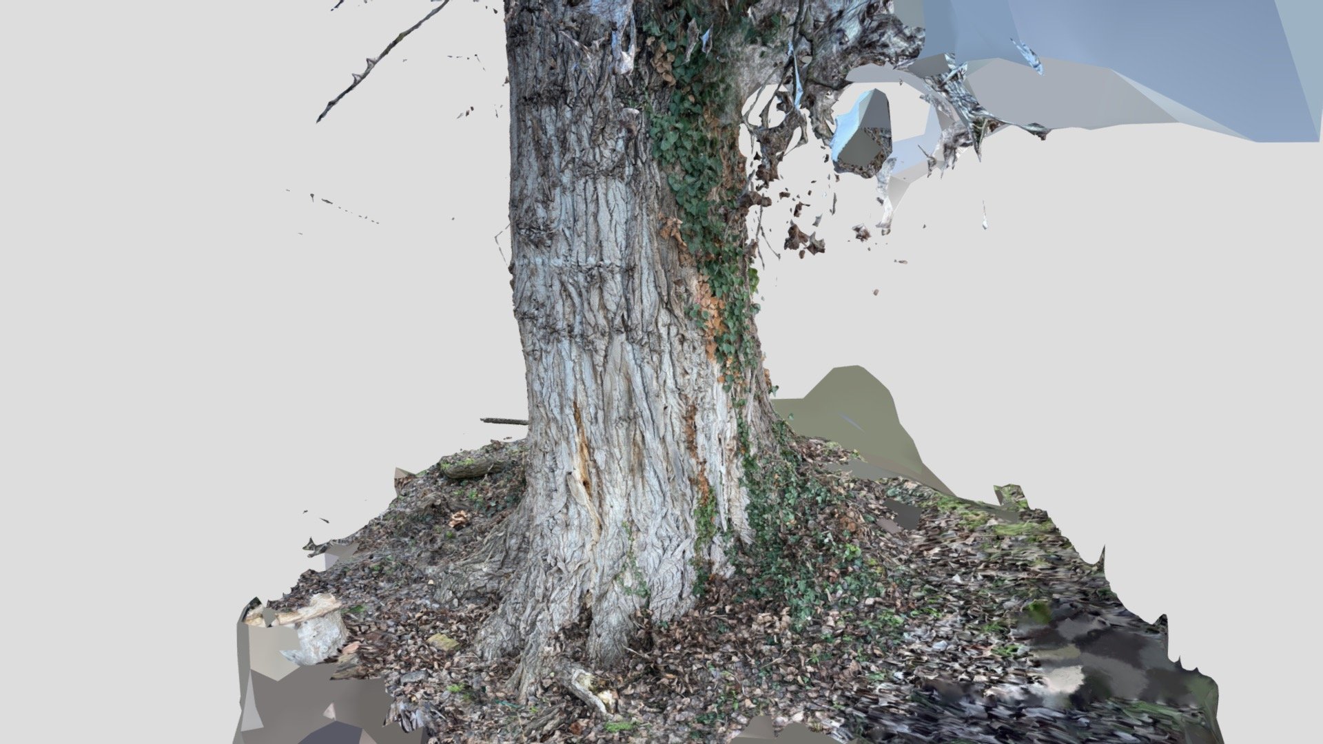 Old tree bark - Download Free 3D model by vmastilovic [2065474] - Sketchfab