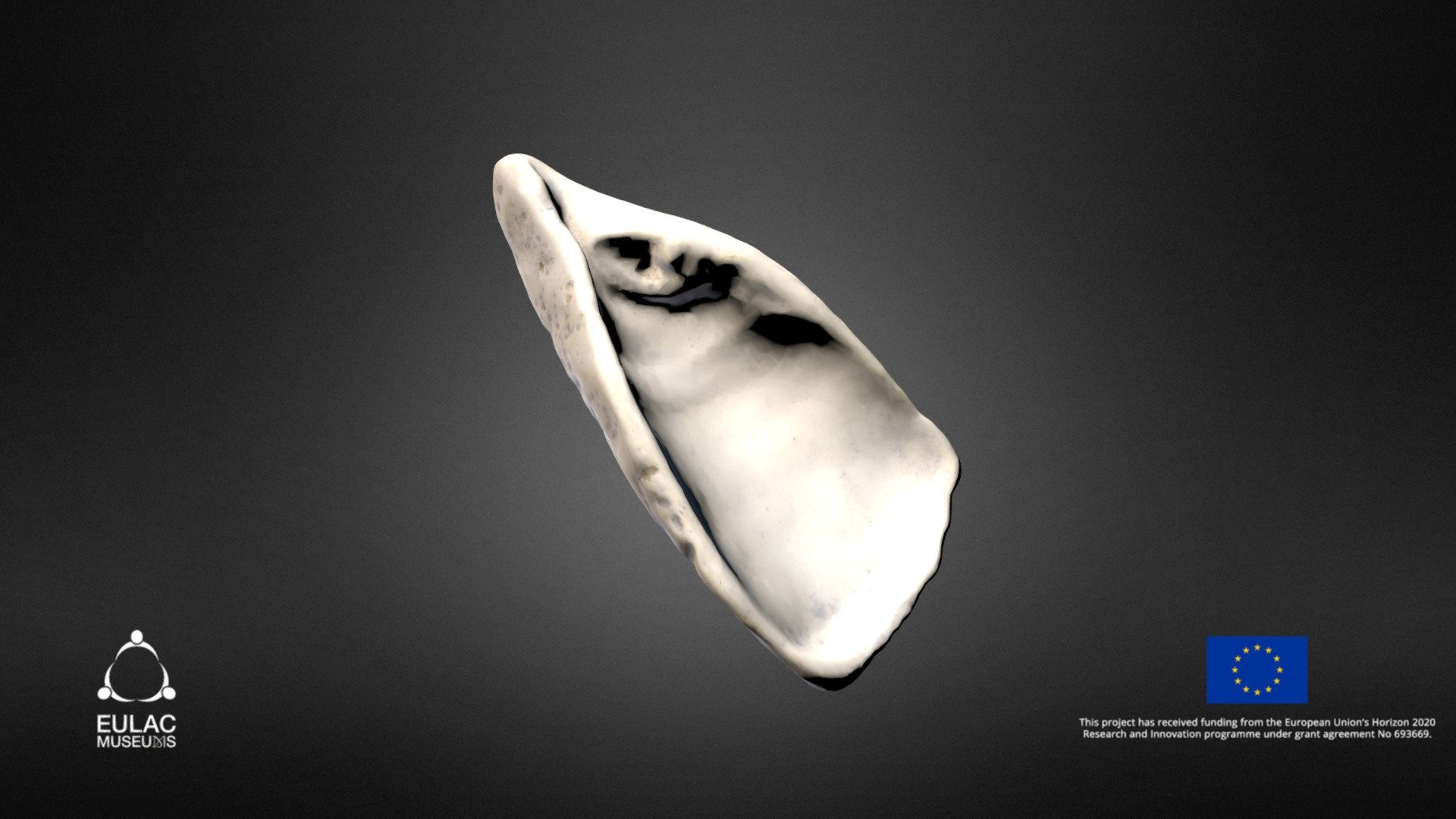Amerindian Shell - 3D model by EU-LAC-3D [206dda4] - Sketchfab