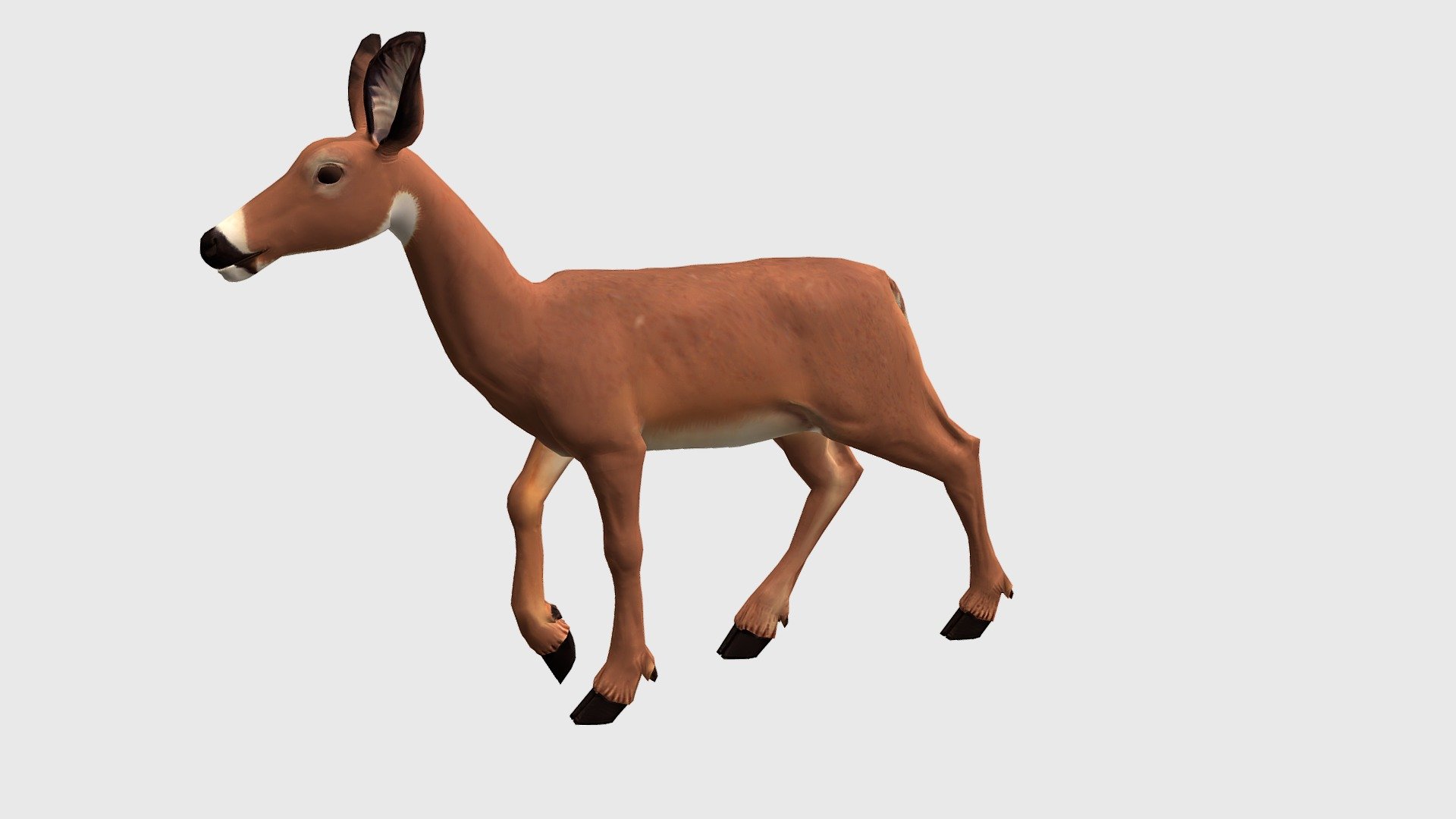 deer walking - 3D model by aurinkoinen [20716b6] - Sketchfab