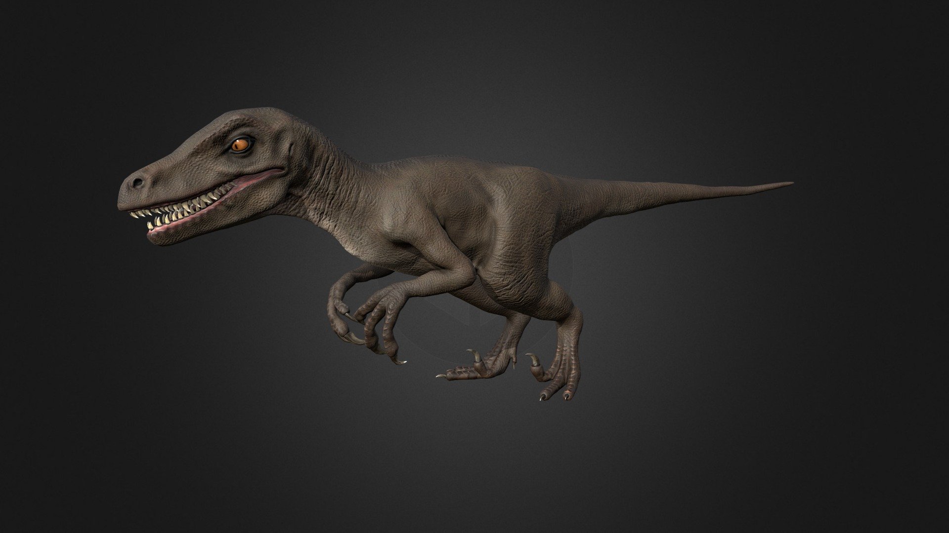 Velociraptor - Buy Royalty Free 3D model by Rifat3D [2081ed3 ...