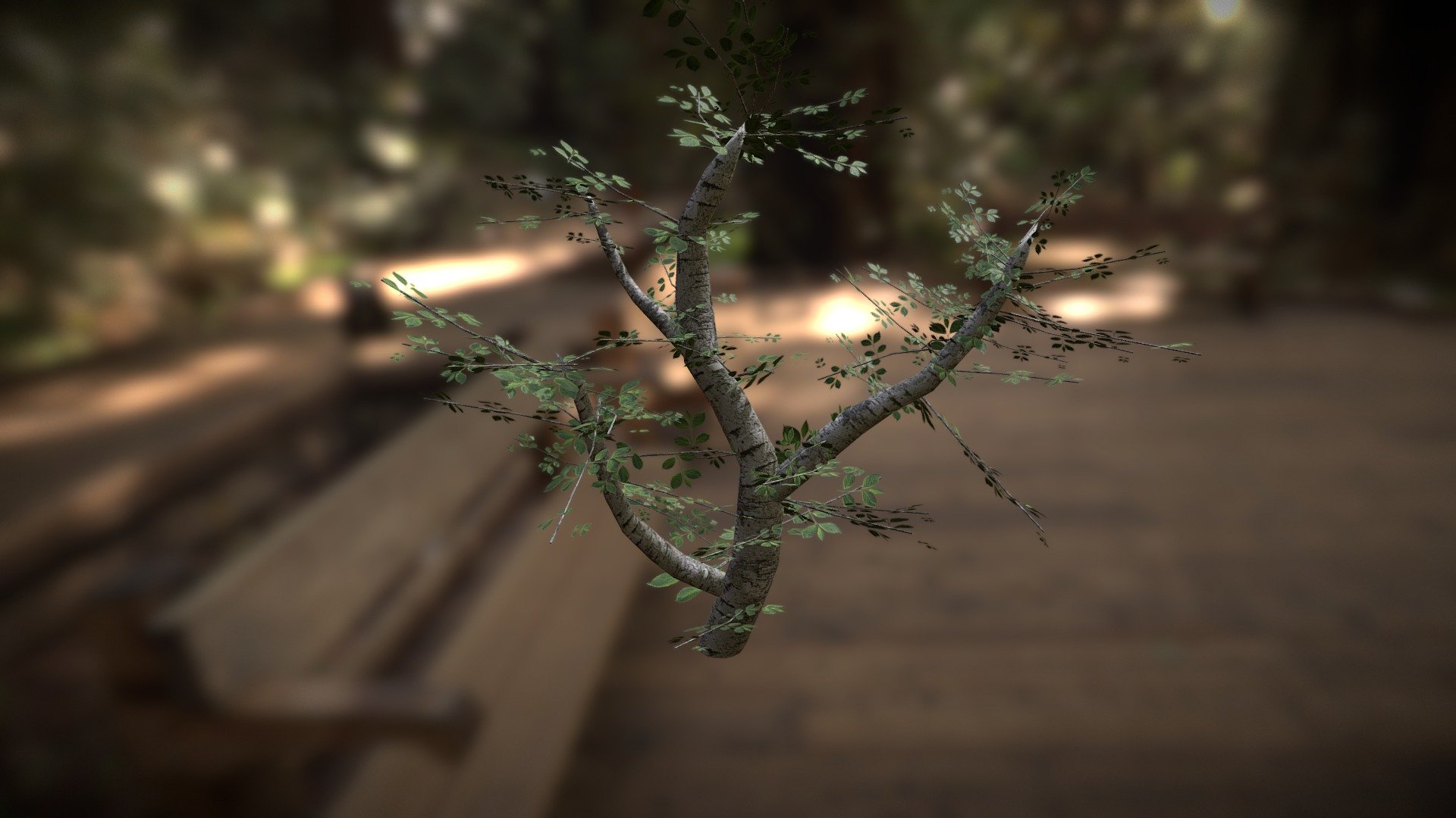 Free Tree Model - Download Free 3D model by BozhidarKN (@bojidarkn ...
