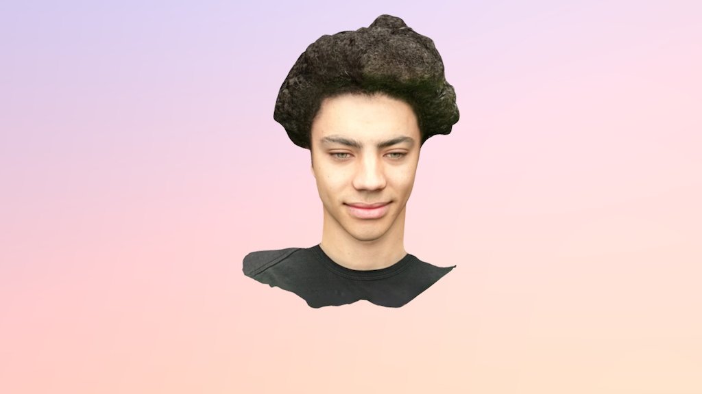 Face scan example - 3D model by vivianbye [208a289] - Sketchfab