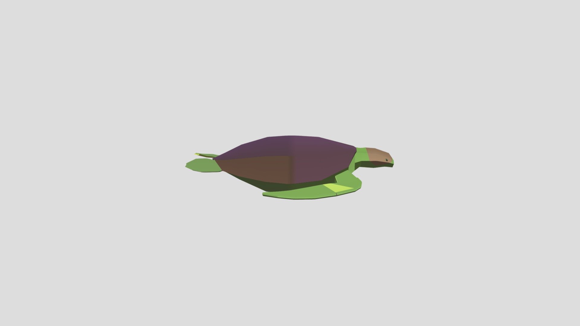 Sea Turtle Rig - Download Free 3D model by Mr_Webb7 (@MrWebb7) [2091612 ...