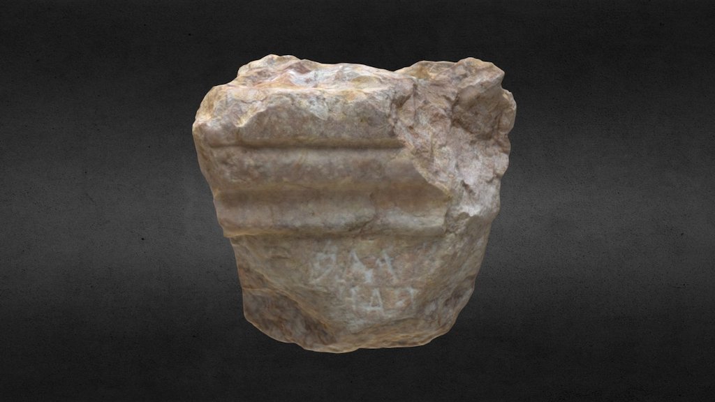 Ara - 3D model by jfcuesta [209471f] - Sketchfab